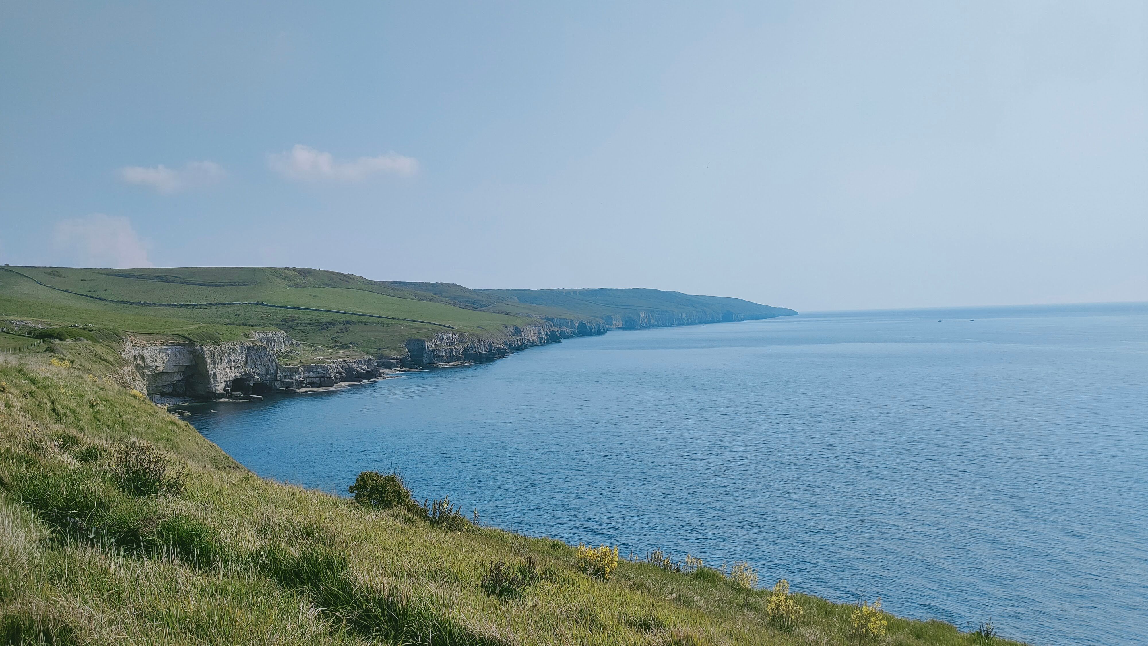 Green Plains on Sea Shore · Free Stock Photo