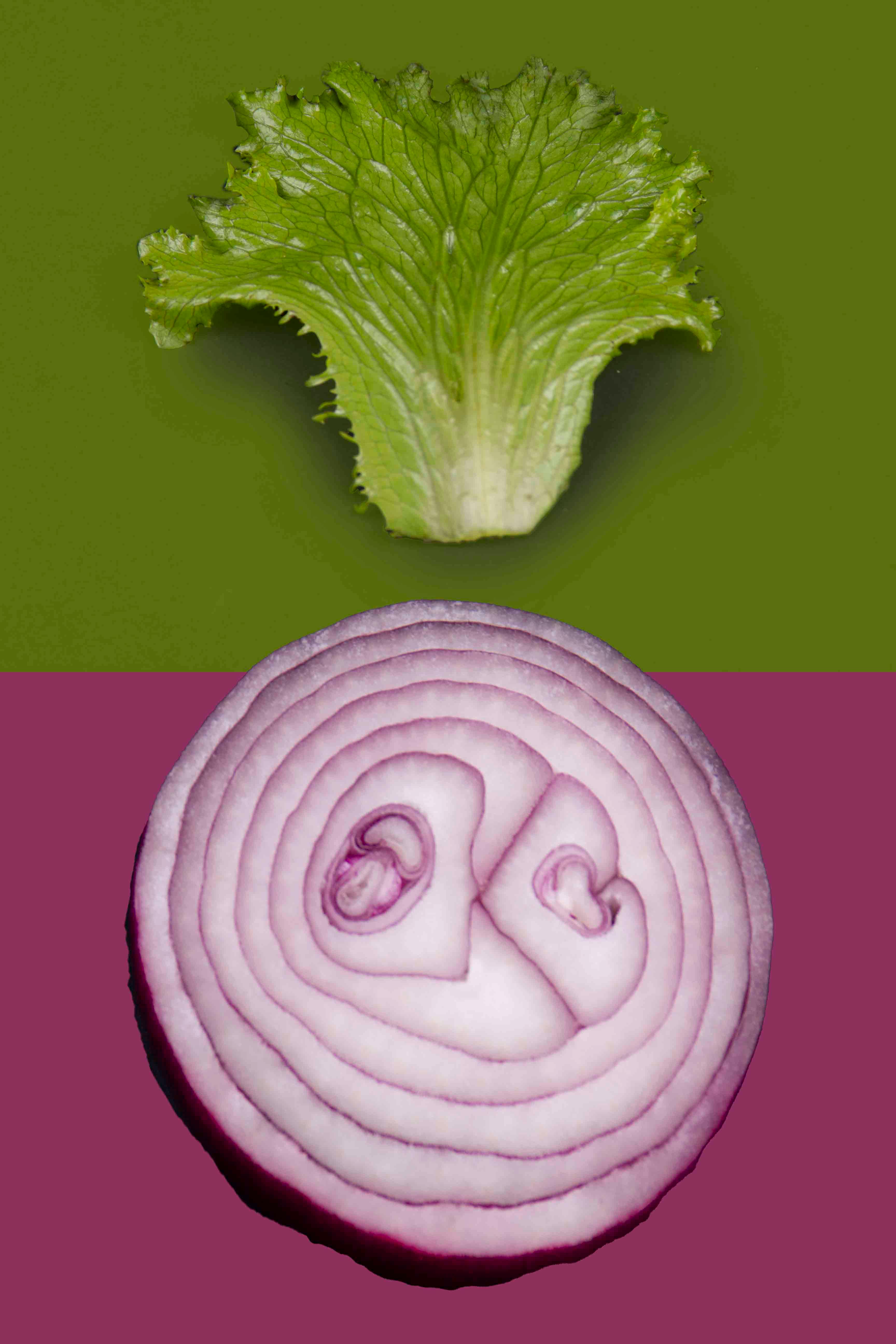 Kay Hunjan - Photographie