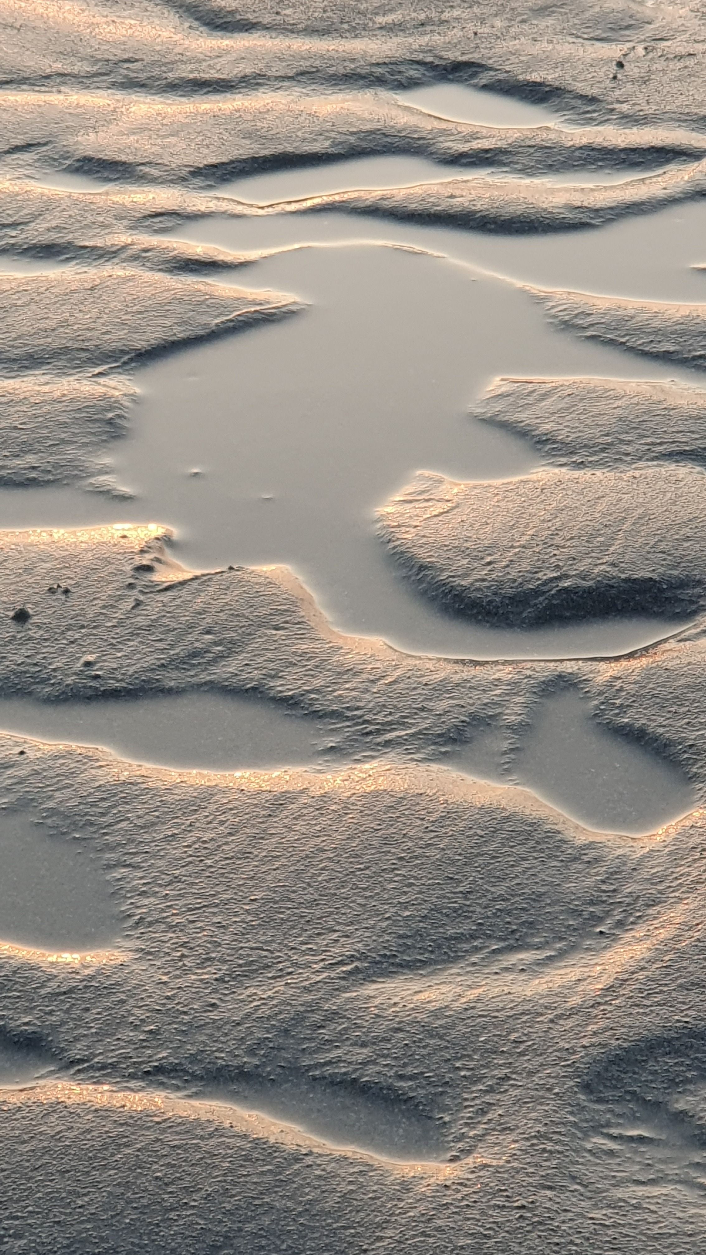 Puddles on Wet Sand · Free Stock Photo