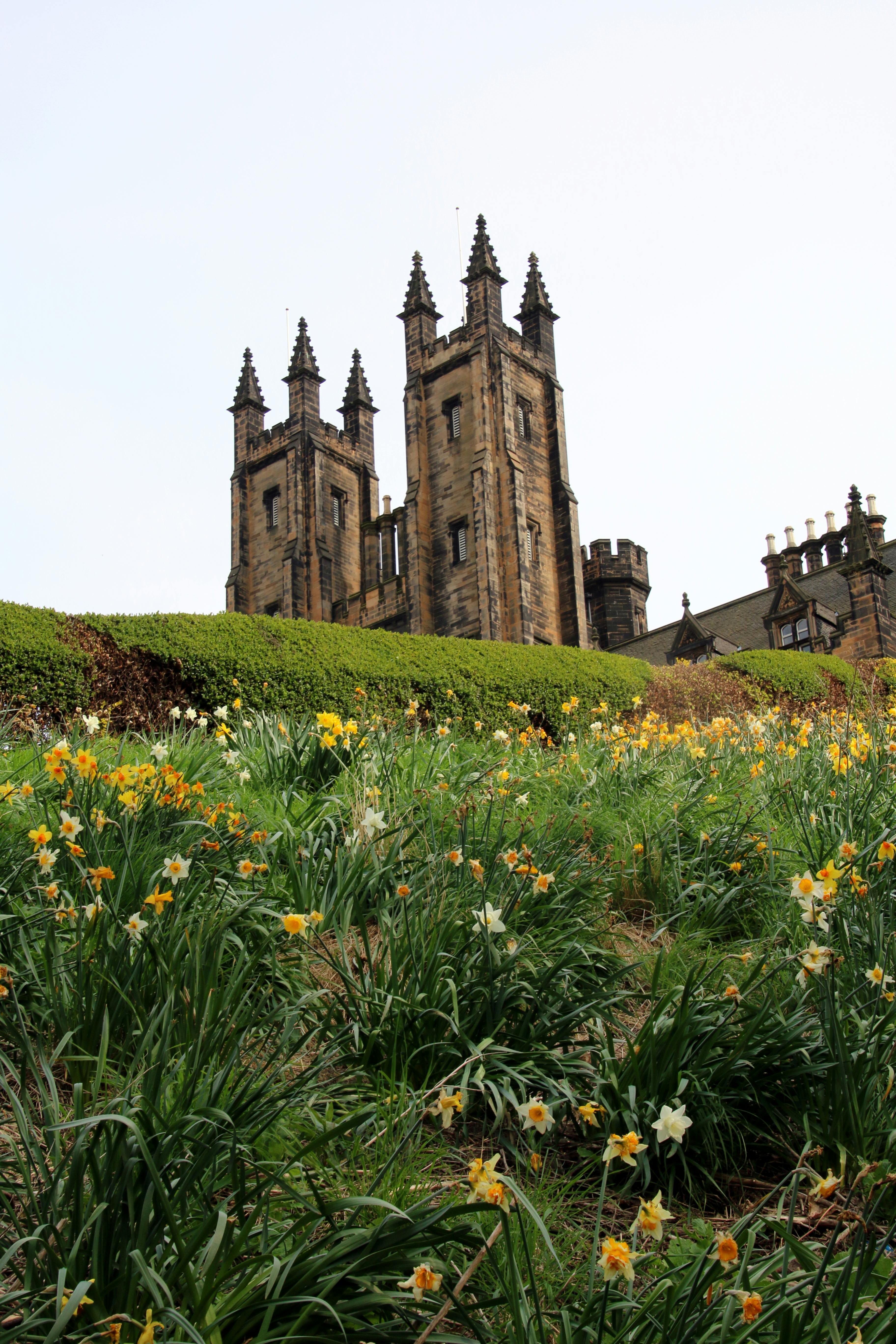 Old Gothic Castle on Green Hill · Free Stock Photo