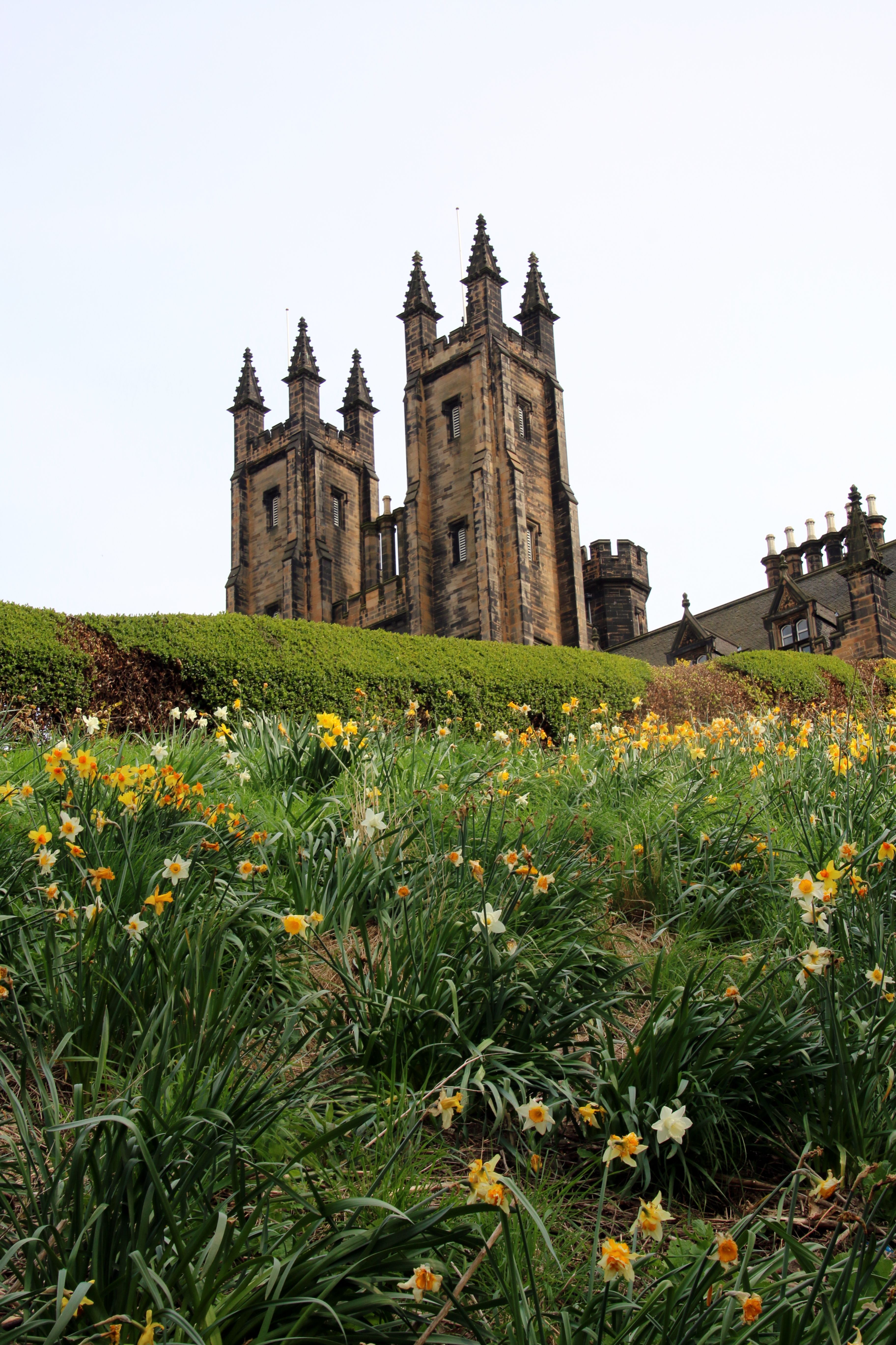 Gothic Architect Photos, Download The BEST Free Gothic Architect Stock ...