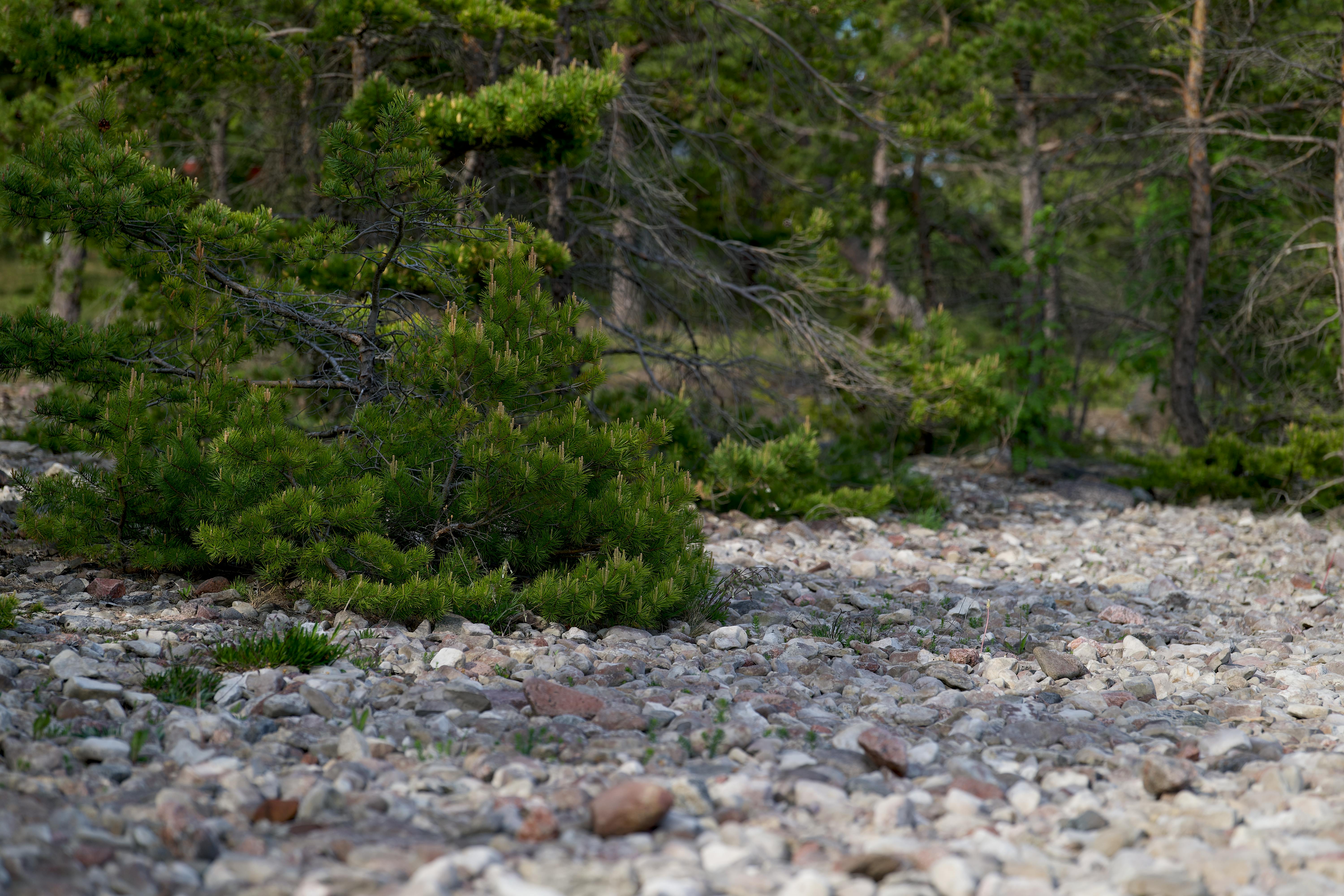 Nature Stones Photos, Download The BEST Free Nature Stones Stock Photos ...