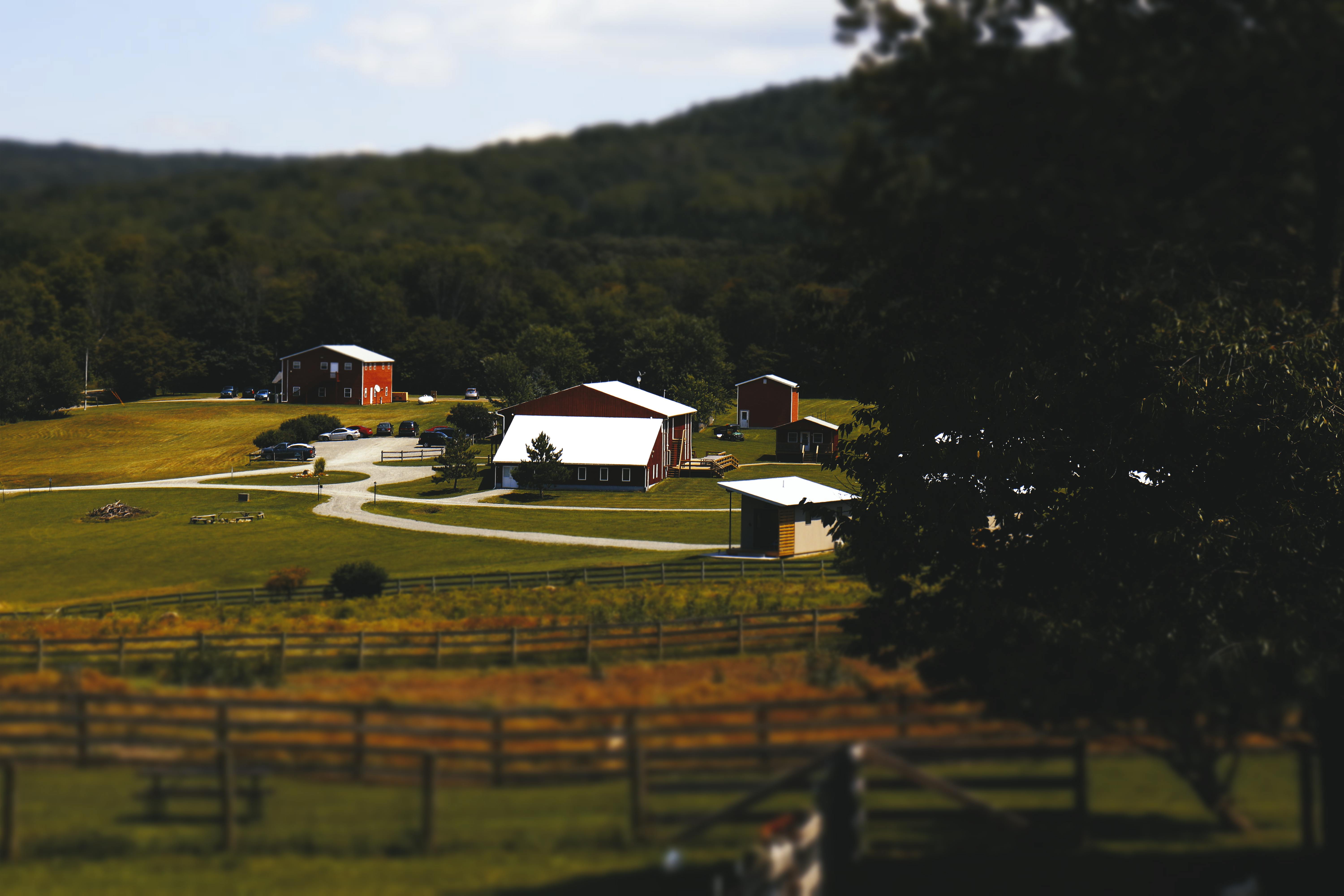 Free stock photo of animals, farm, fence
