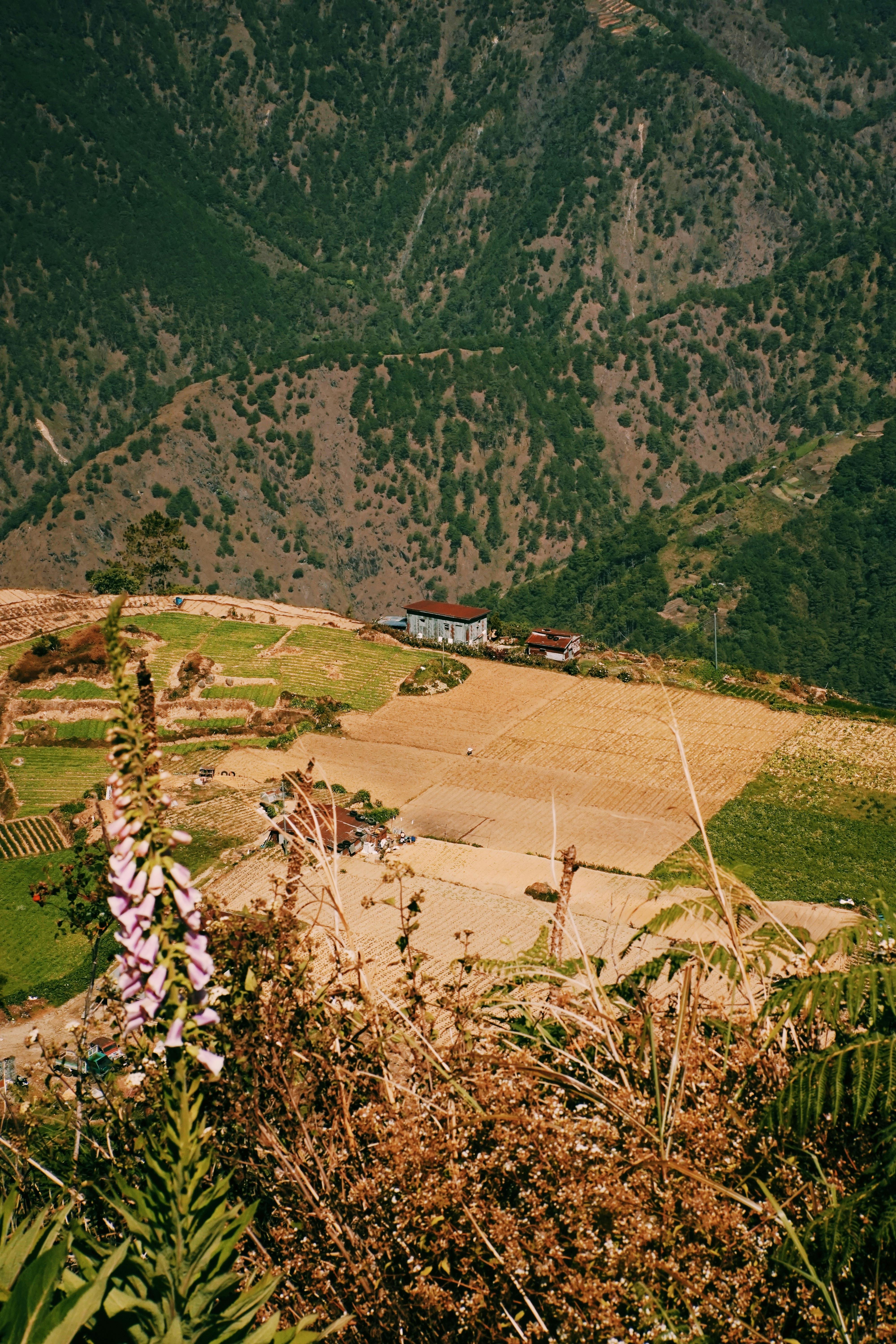 View of Alpine Fields in Summer with a Valley in the Background · Free ...