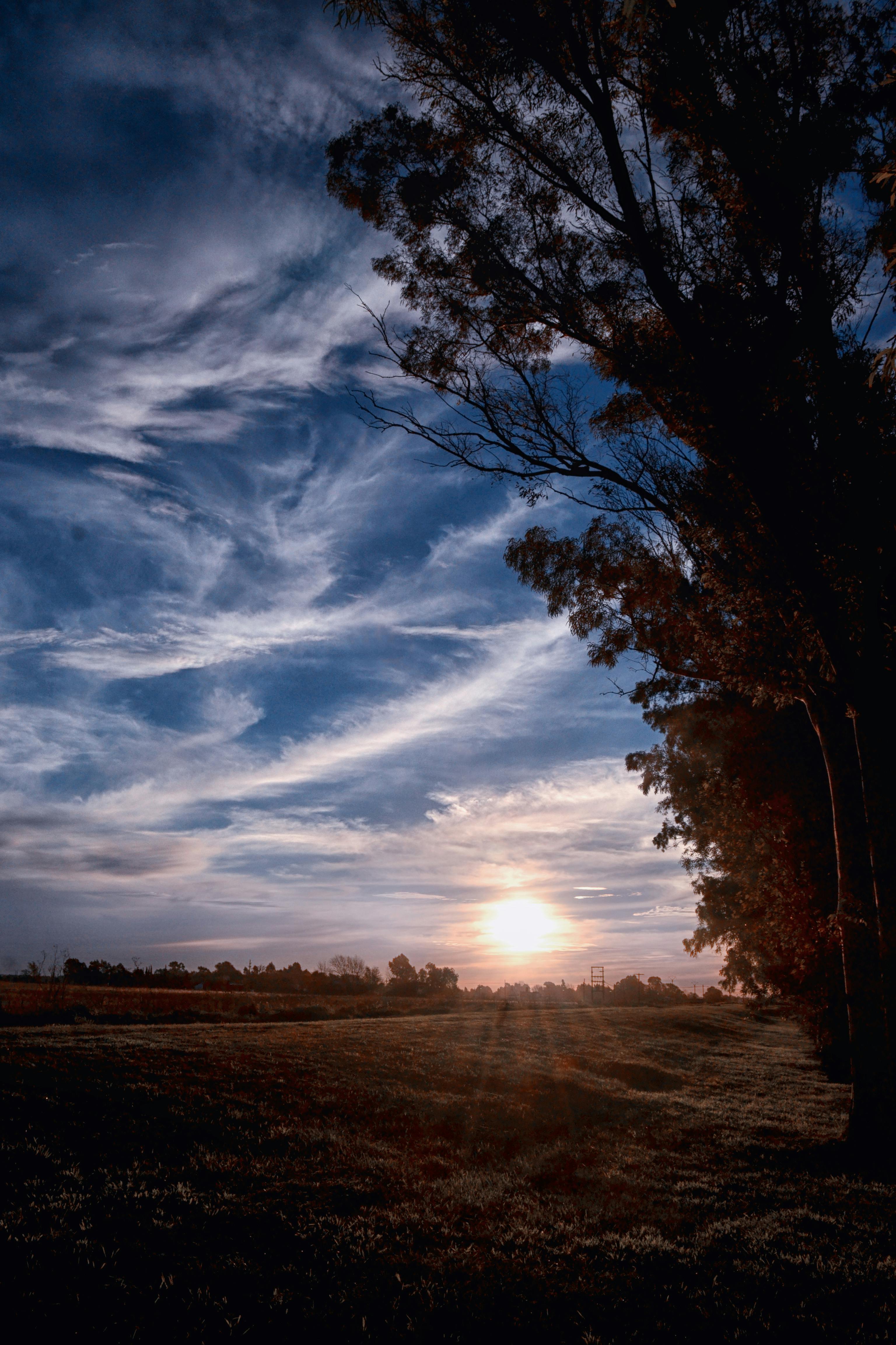 Field During Sunset · Free Stock Photo