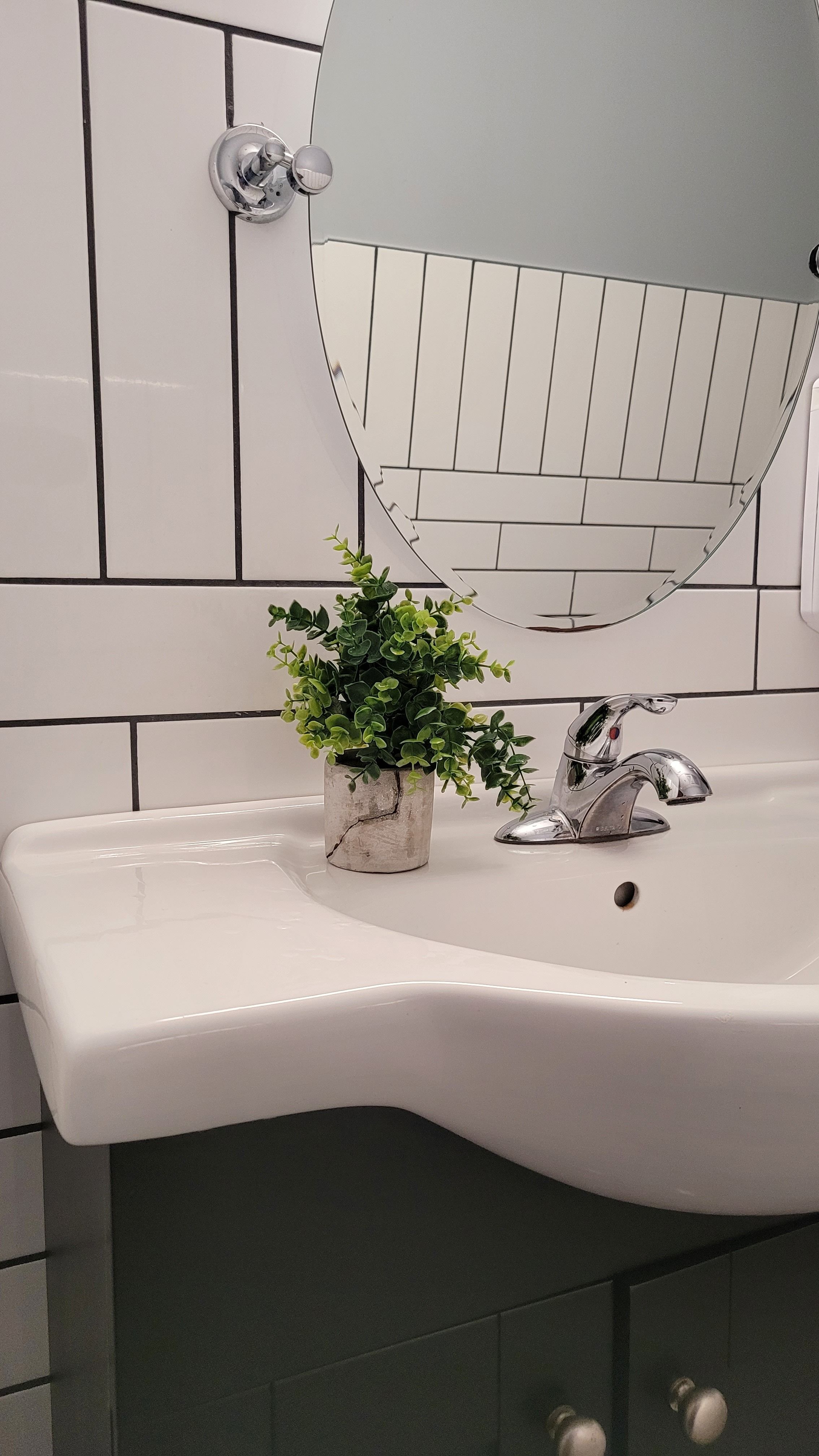 Potted Plant on a Bathroom Sink · Free Stock Photo