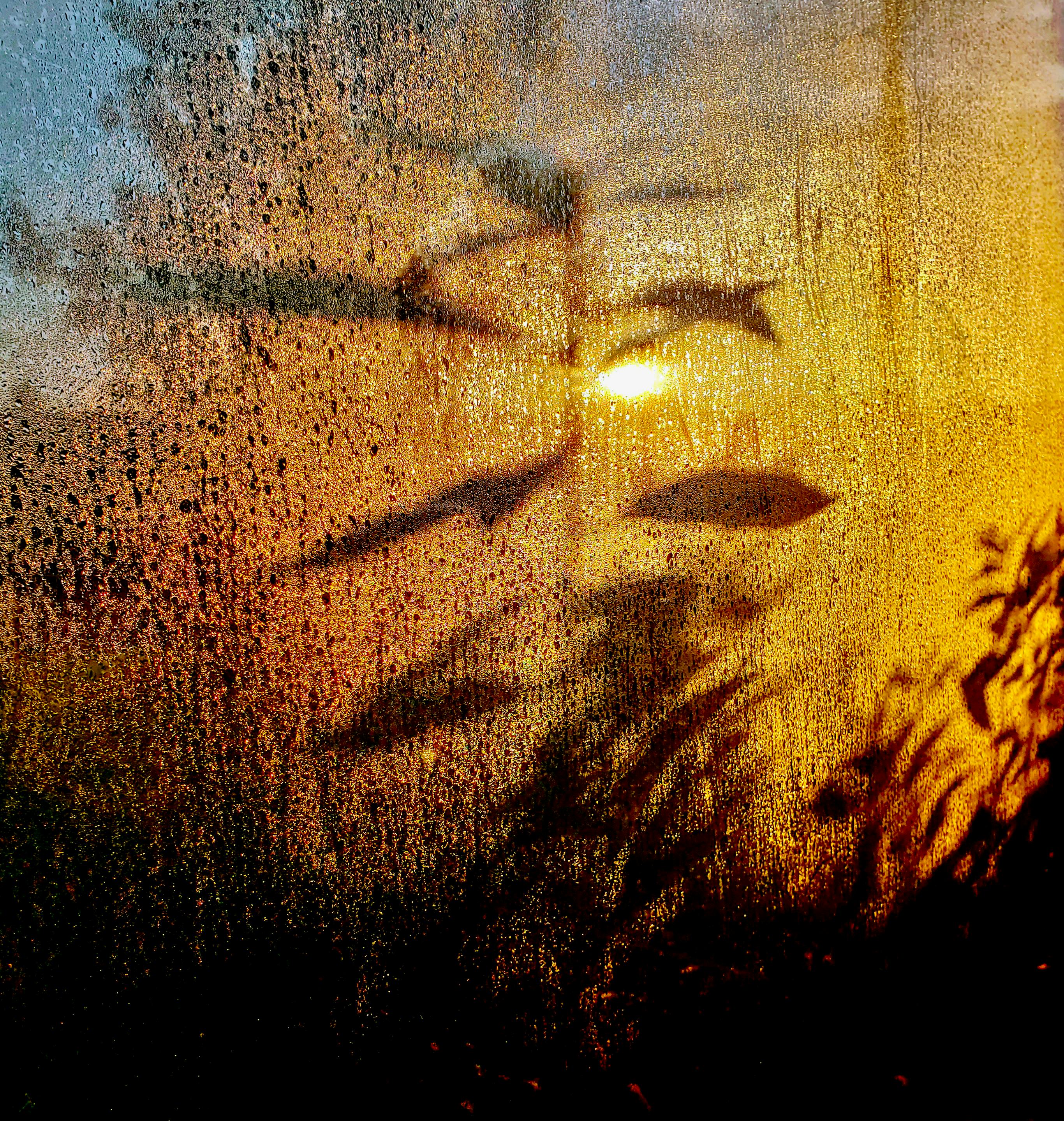 Sunset through a window with a reflection of a bird · Free Stock Photo