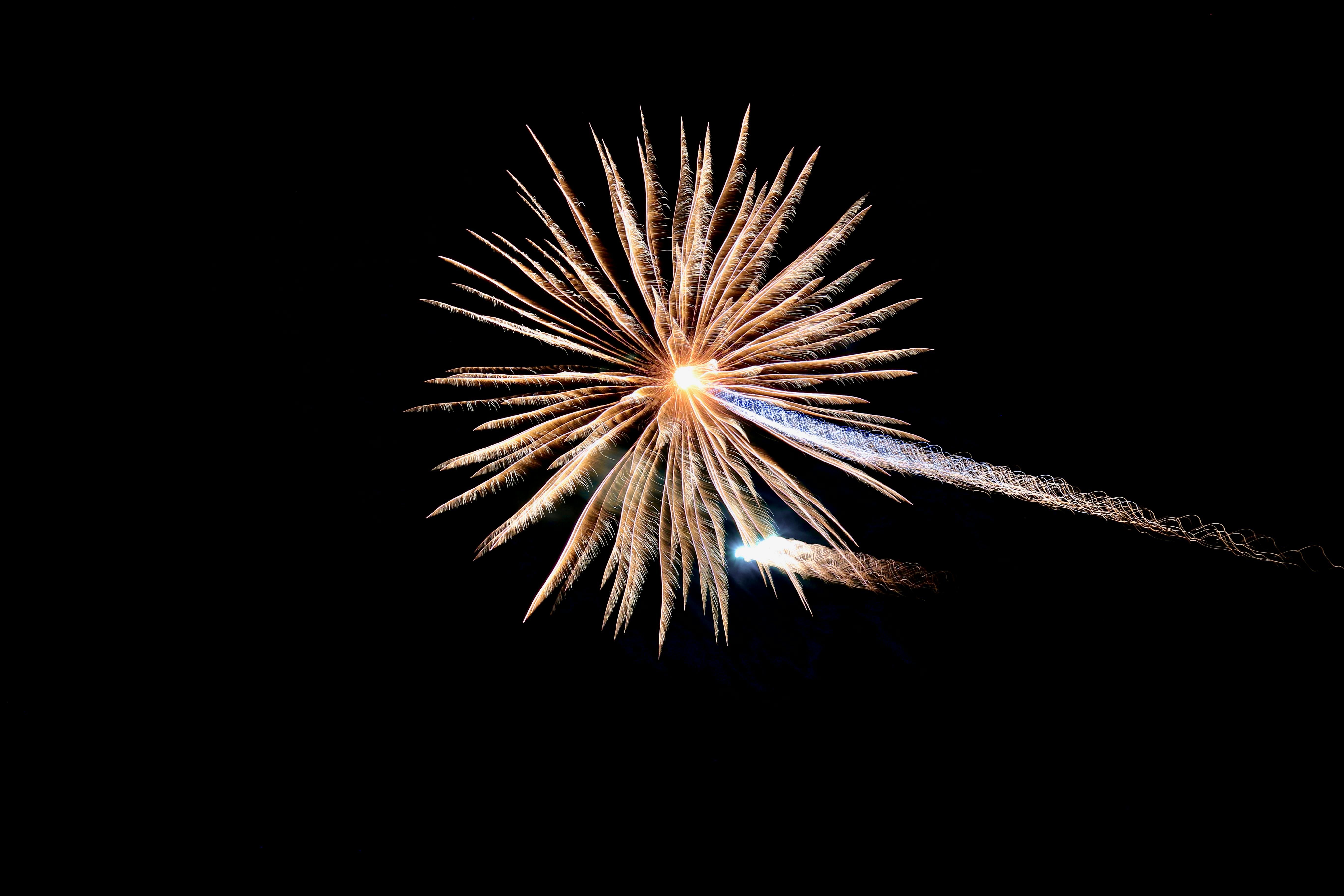 Fire Works · Free Stock Photo