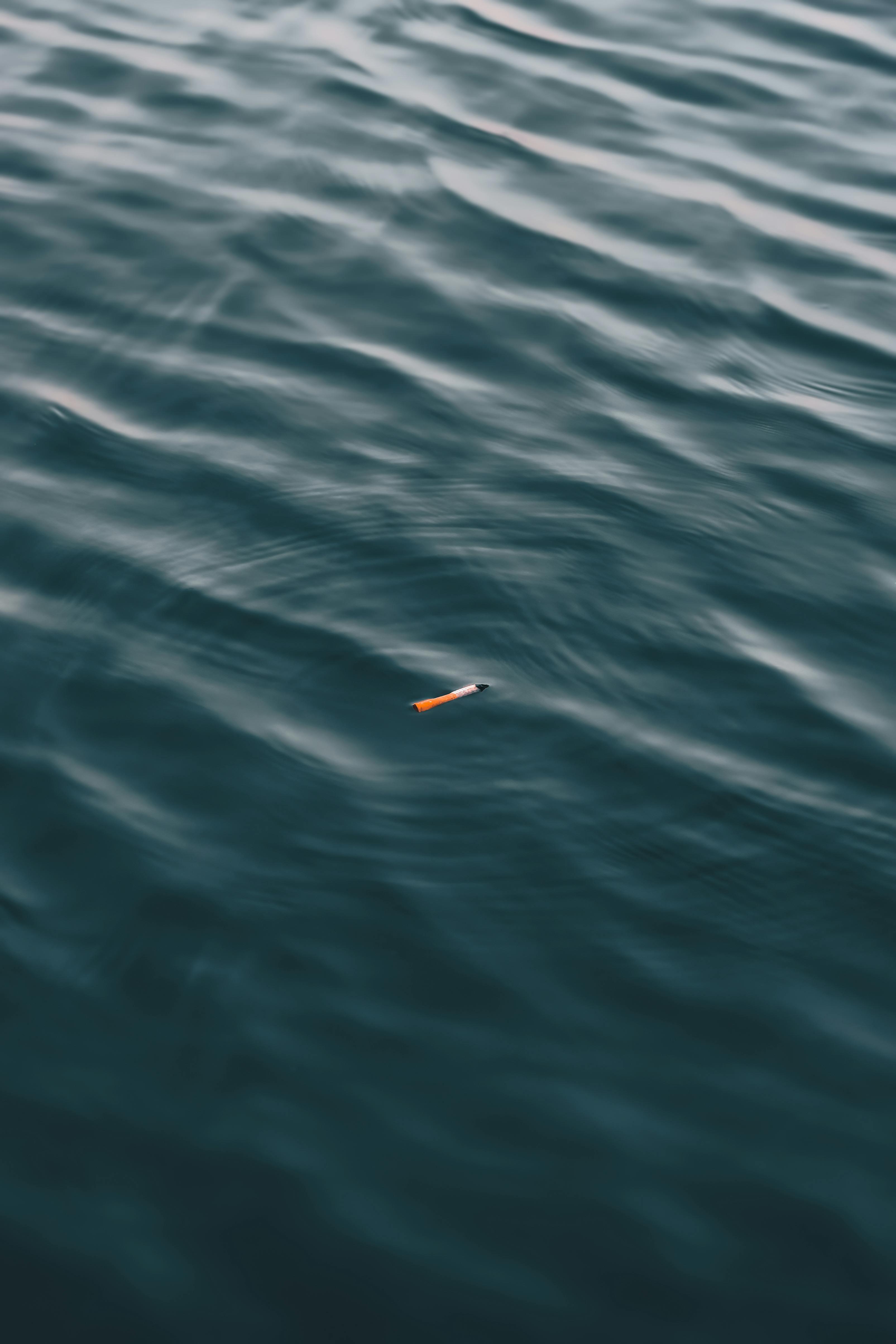Cigarette Floating on Blue Water · Free Stock Photo