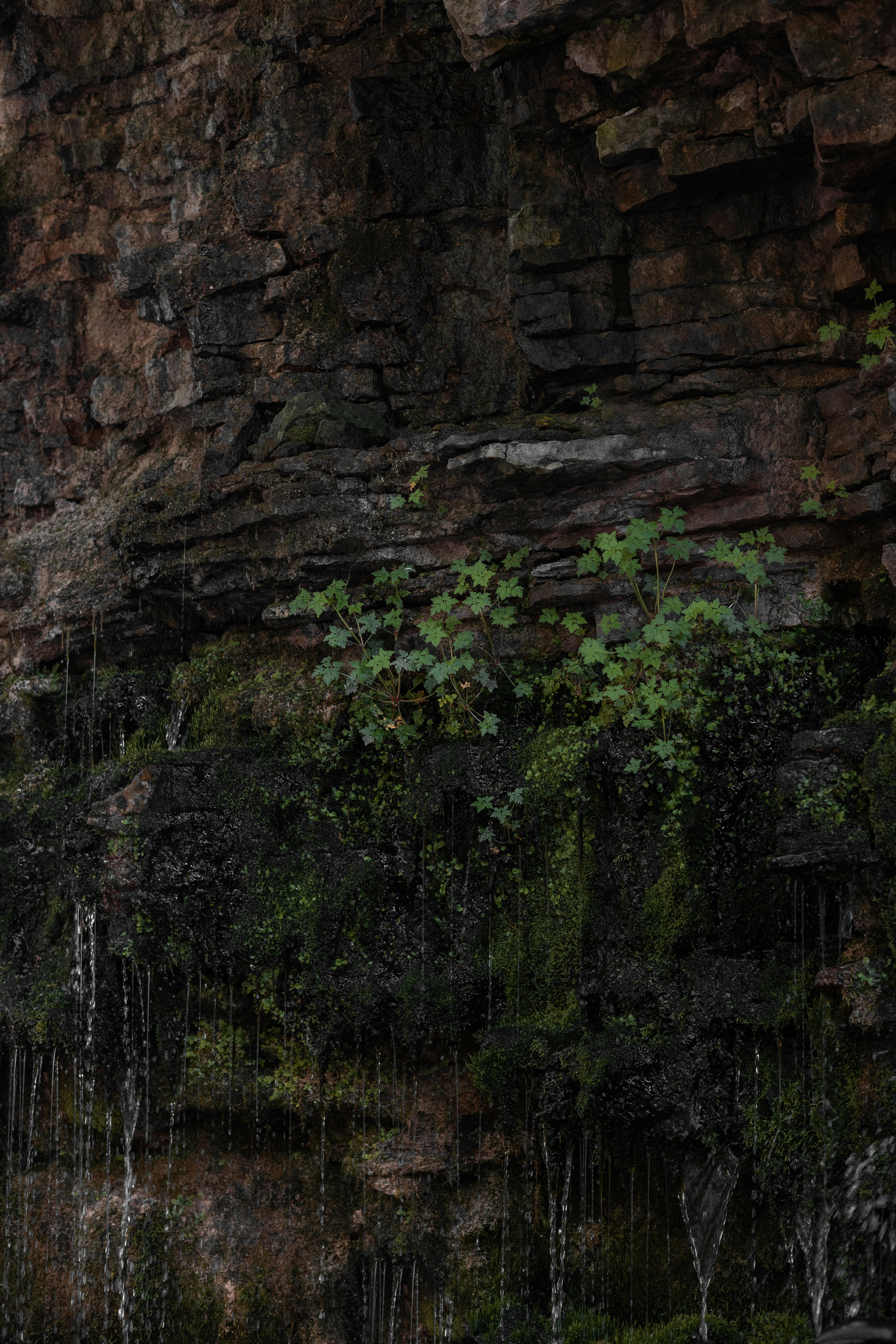 Water Falling from Rock in Wild Nature · Free Stock Photo