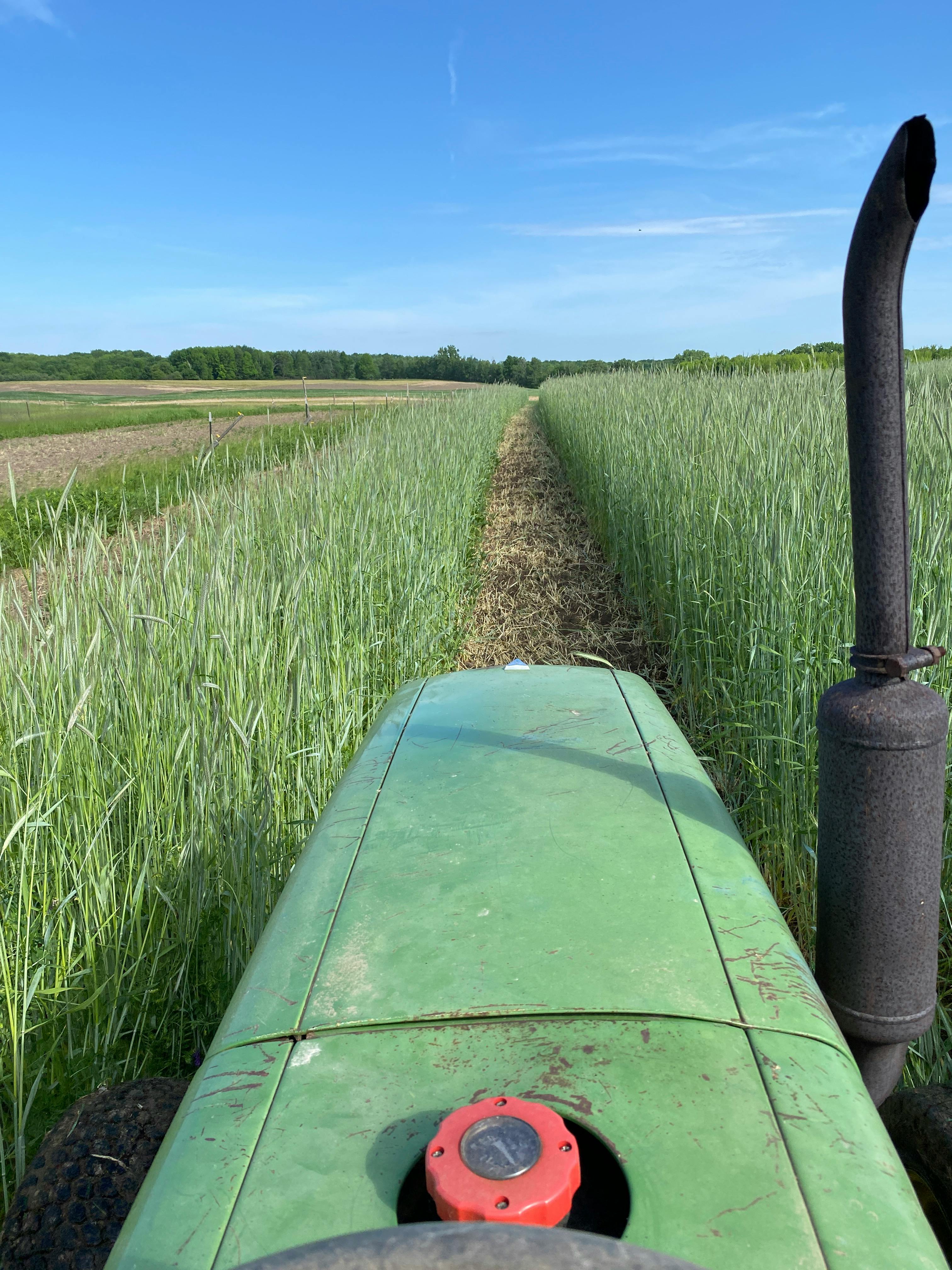 Tractor Working in Grassland in Countryside · Free Stock Photo