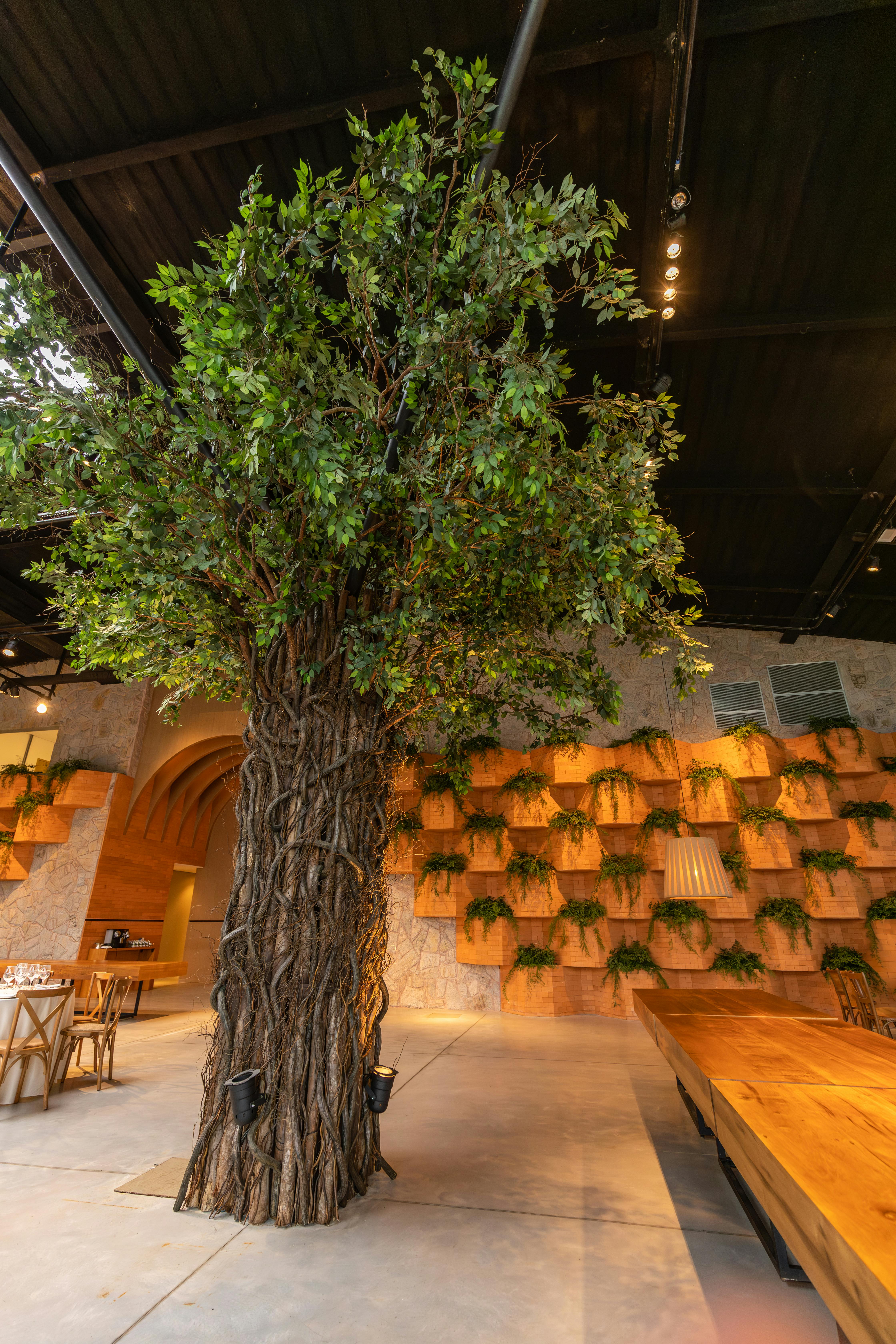 A Tree Growing Inside a Modern Restaurant · Free Stock Photo