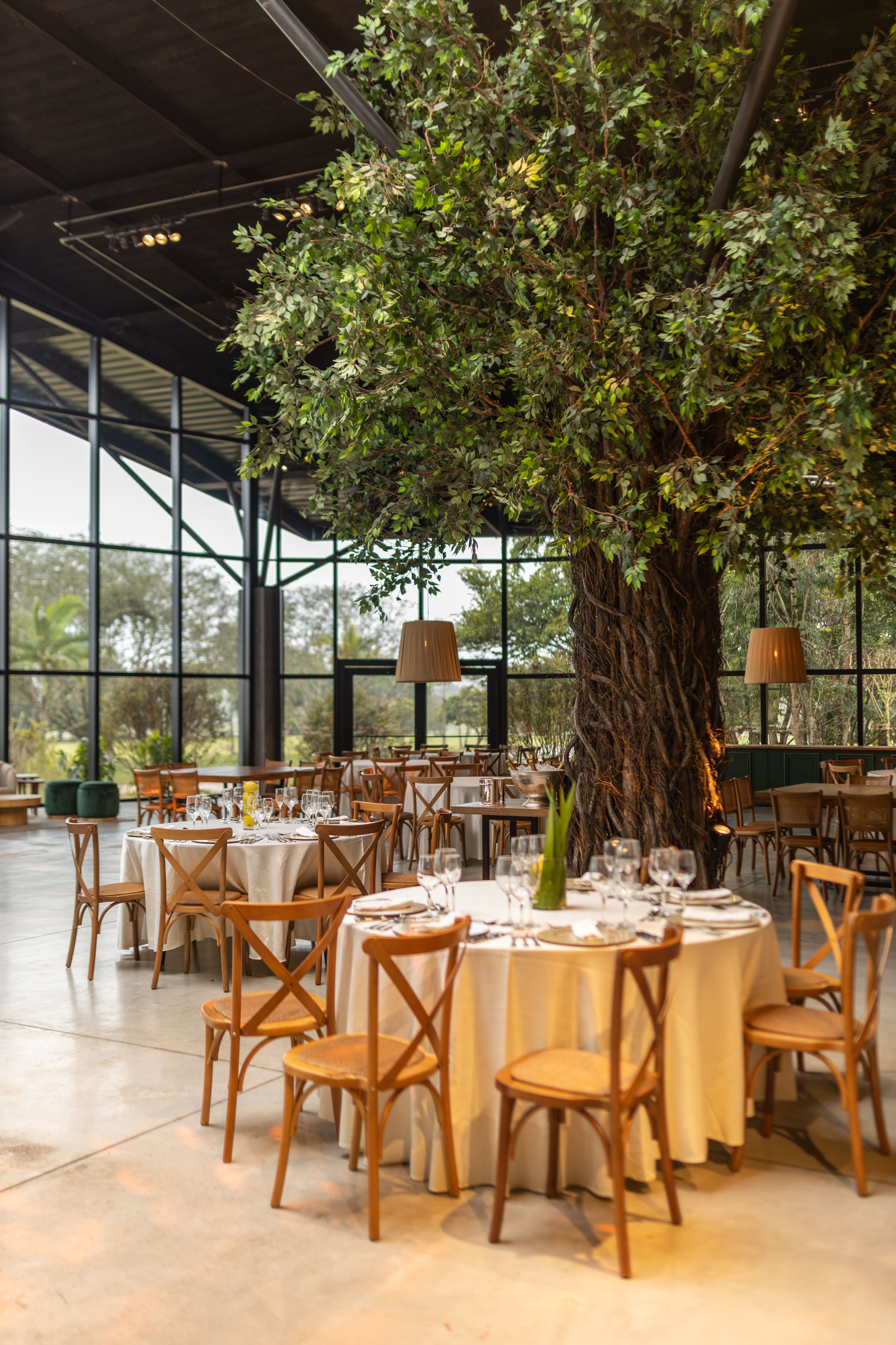 Tree in Decorated Restaurant Hall · Free Stock Photo