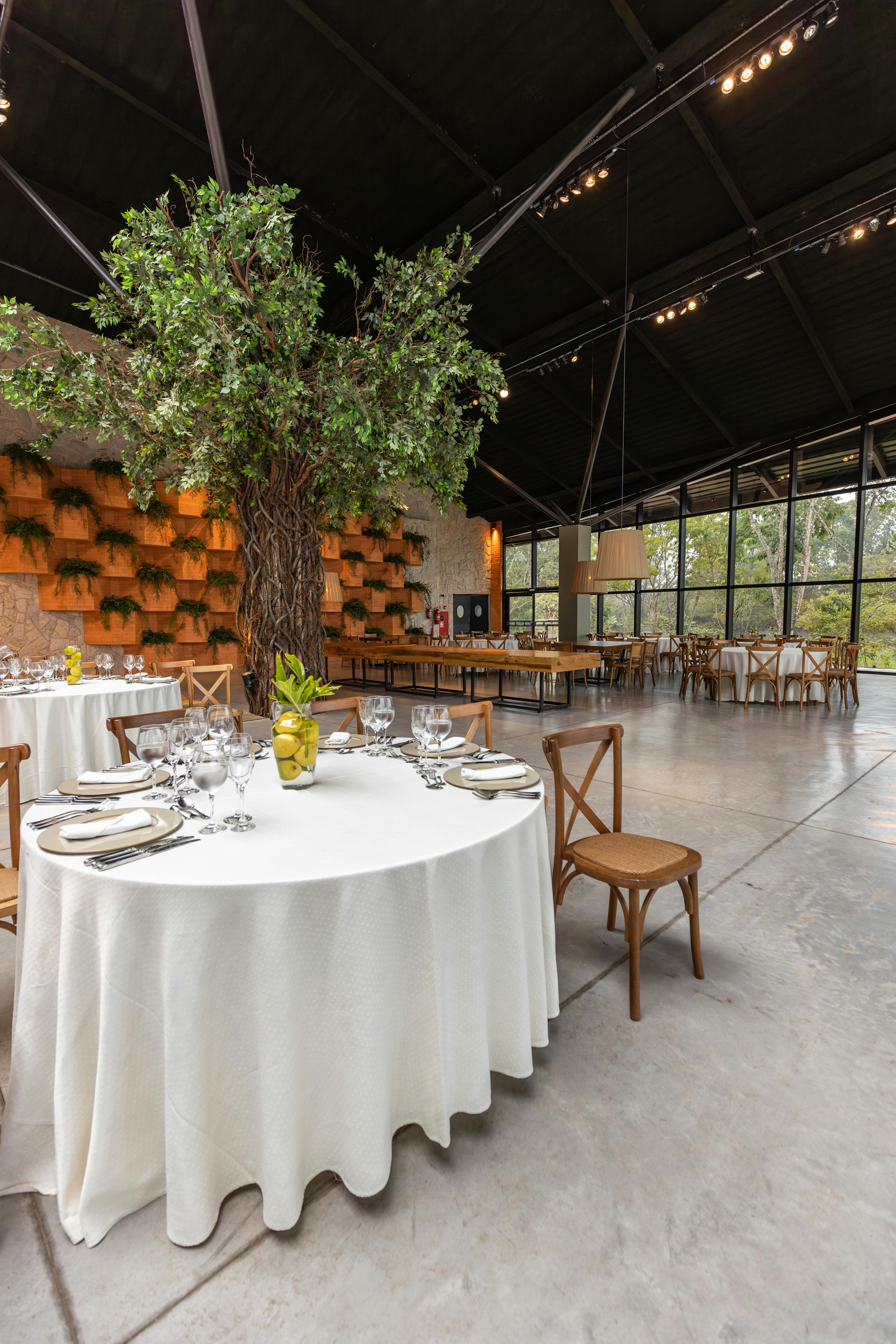 Table and Tree in Restaurant · Free Stock Photo