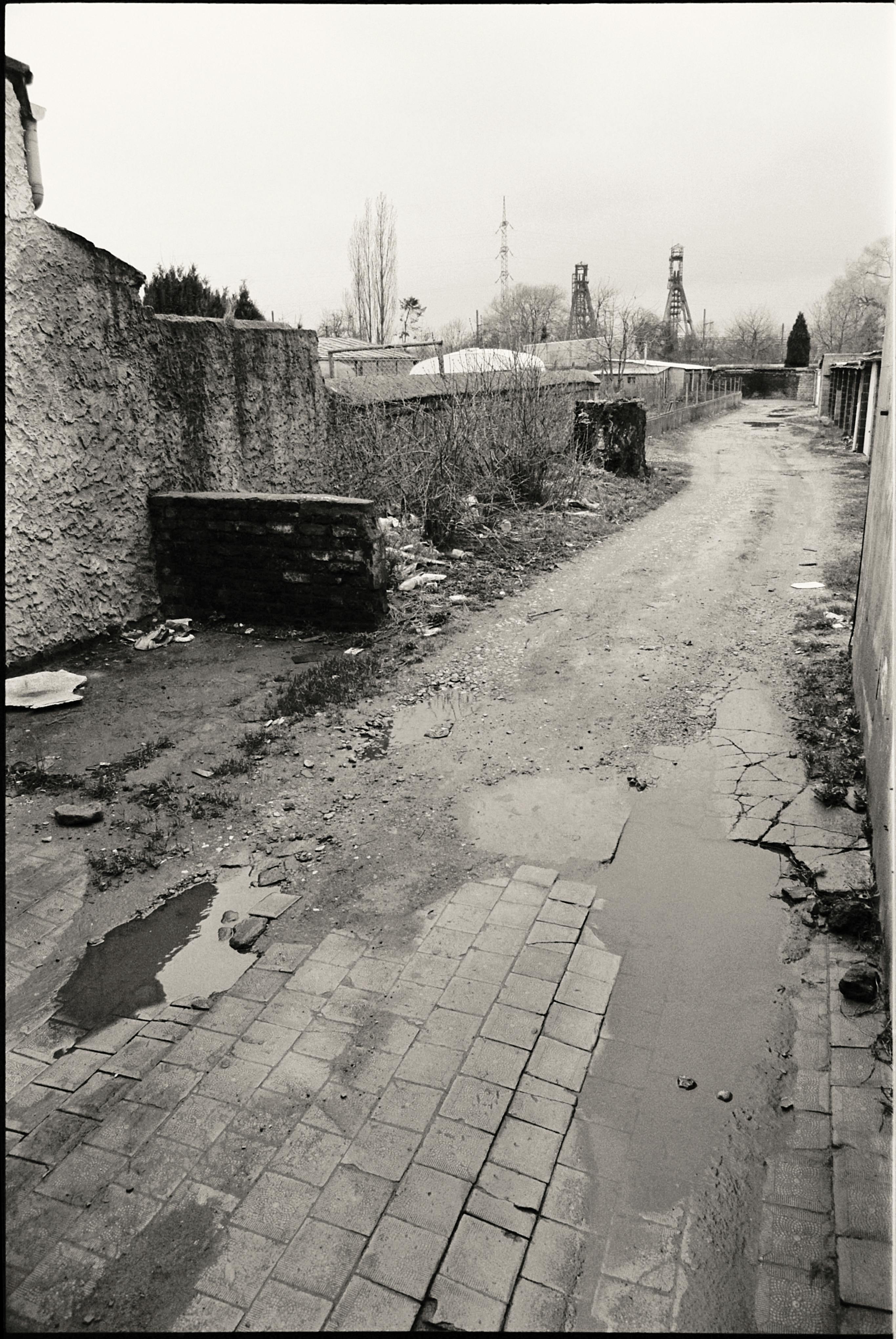 Puddles on Pavement in Village in Black and White · Free Stock Photo
