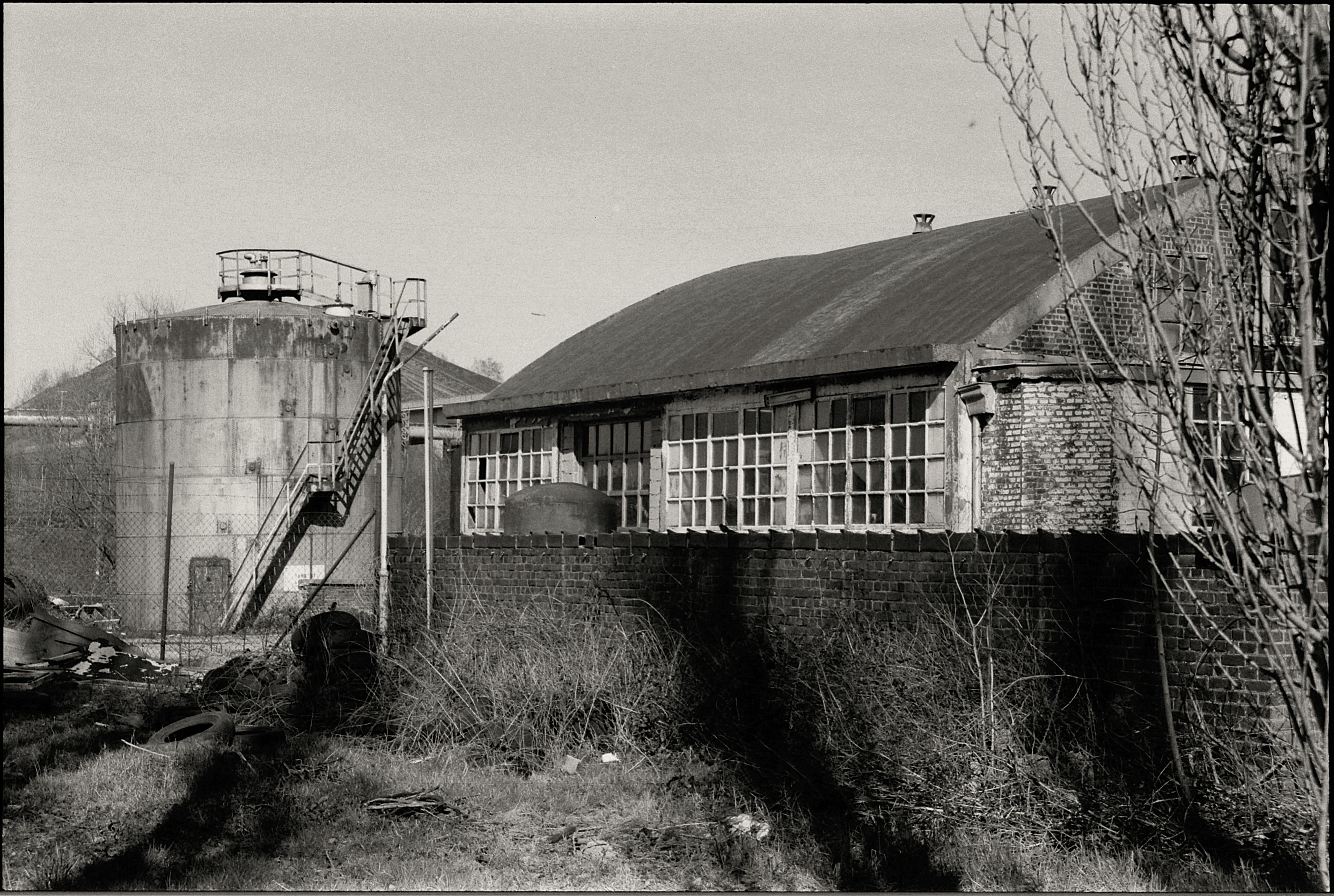 Jinks élevés Photos, Download The BEST Free Jinks élevés Stock Photos ...