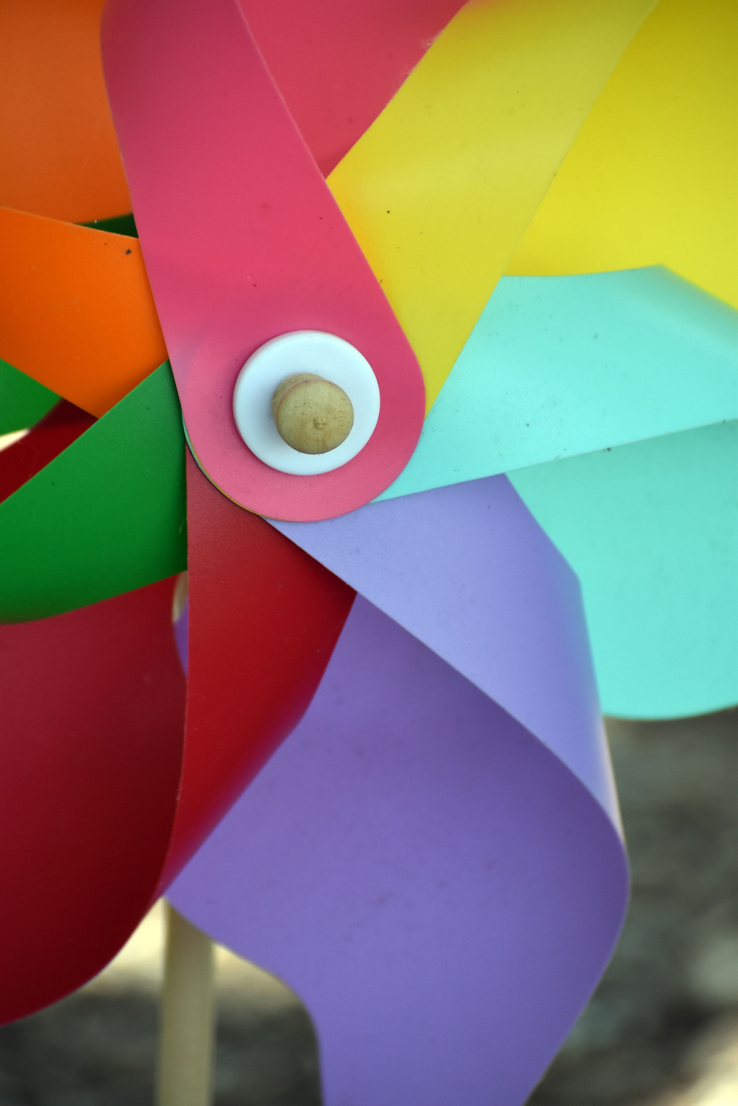 Multi Colored Paper Windmill · Free Stock Photo