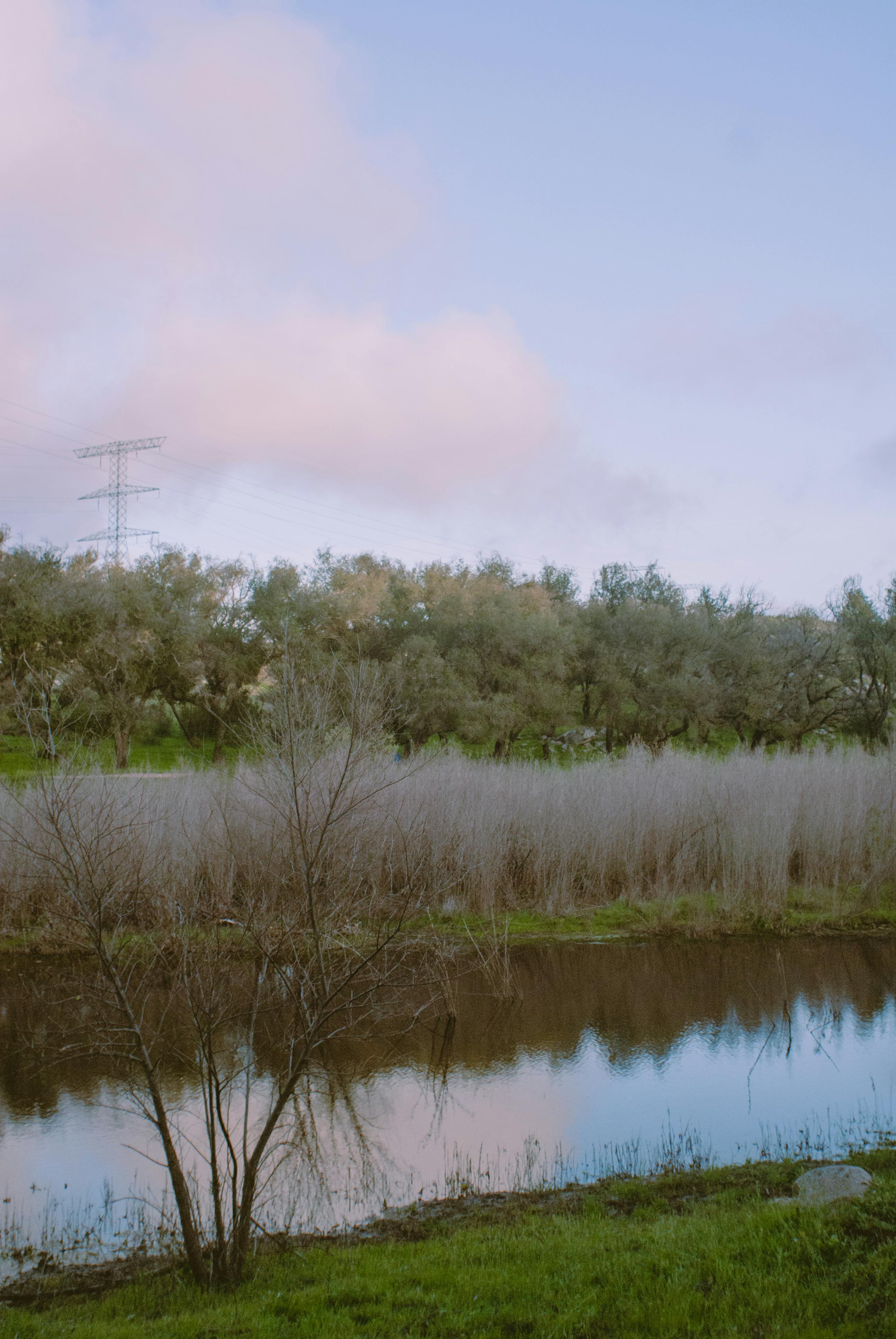 Nice Landscape Photos, Download The BEST Free Nice Landscape Stock ...