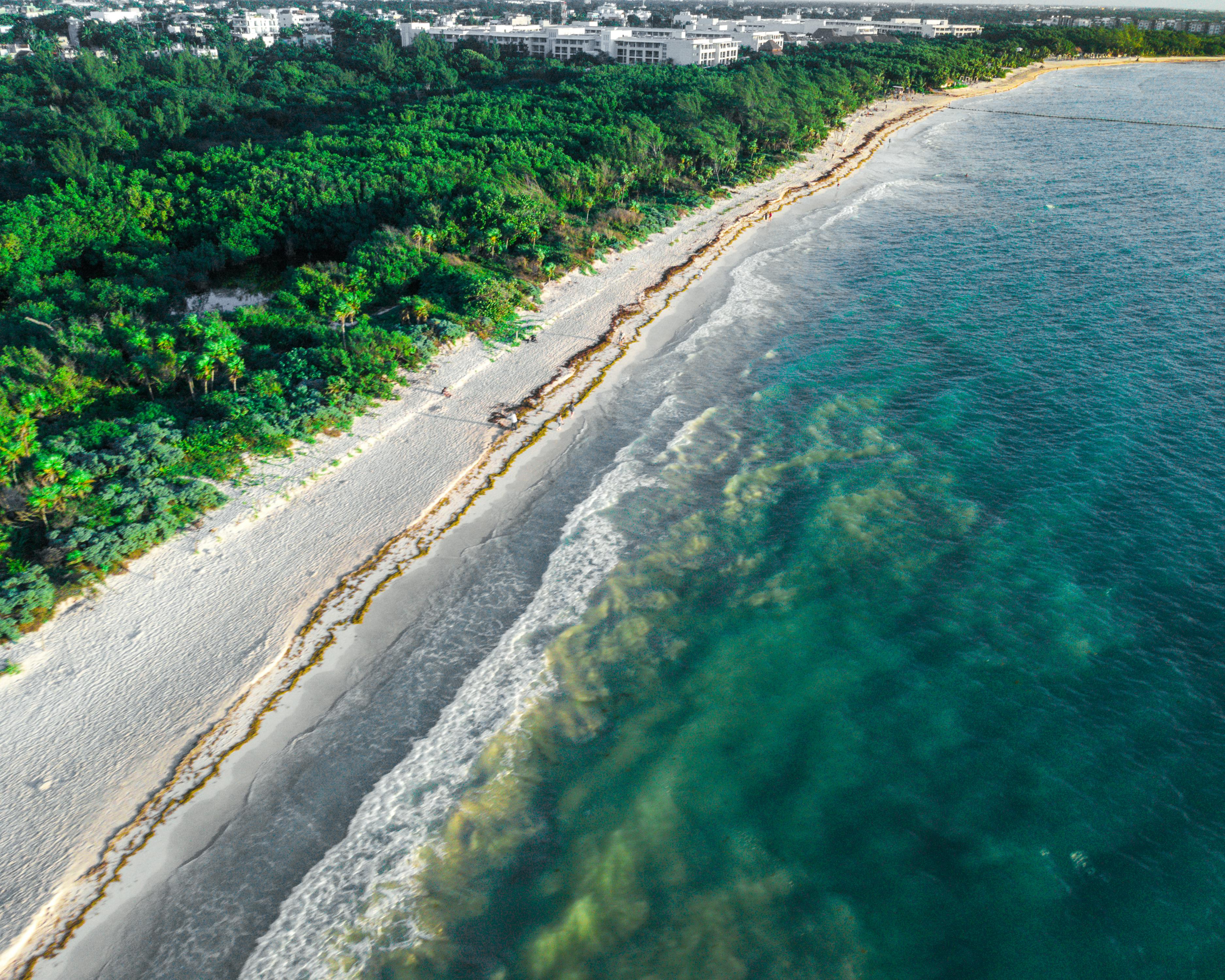 Aerial View of Tourists on the Sandy Beach · Free Stock Photo