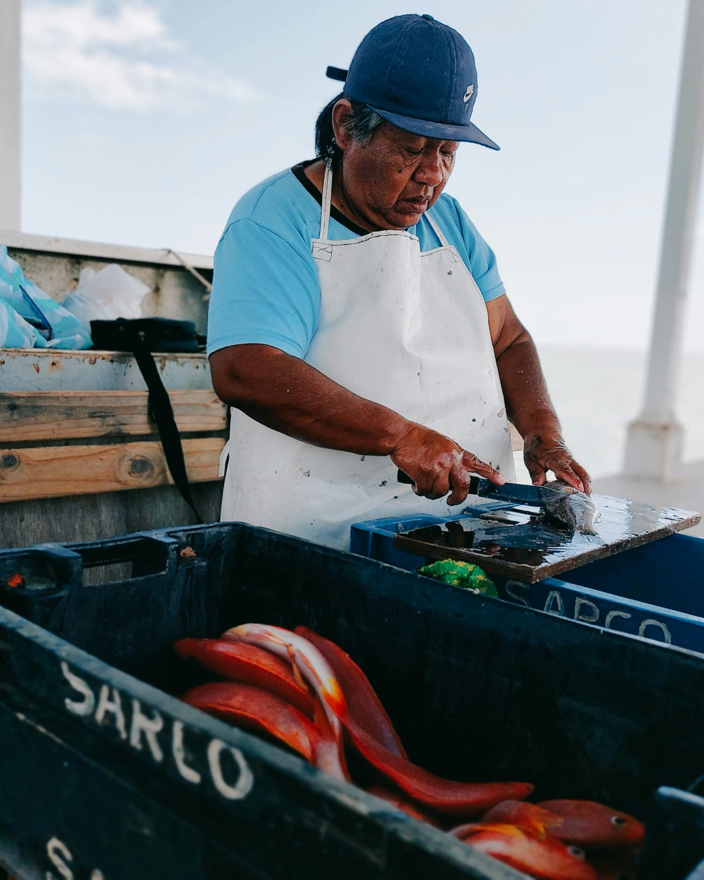 Worker Cutting Fish · Free Stock Photo
