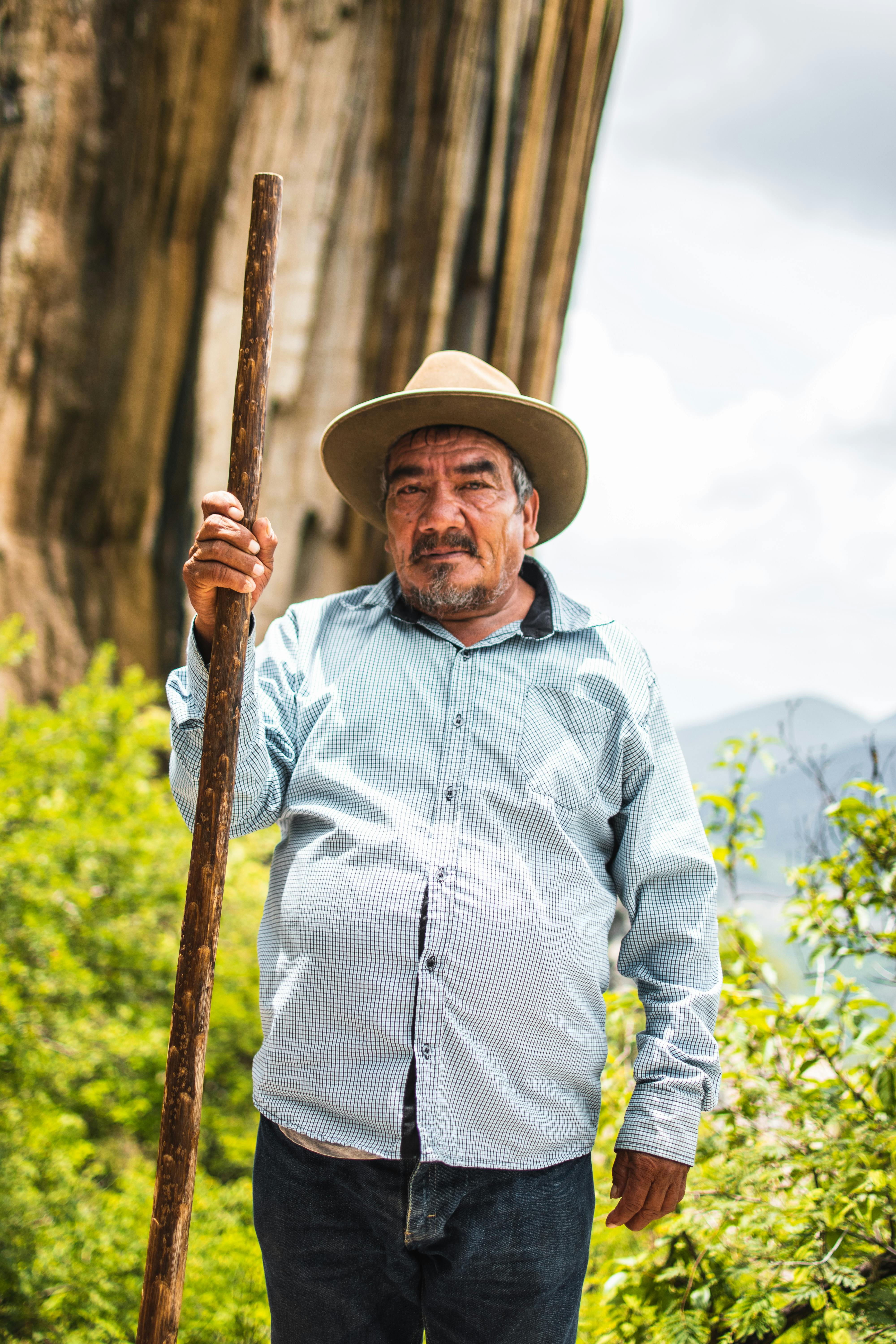 Real Reproduction Photos, Download The BEST Free Real Reproduction ...