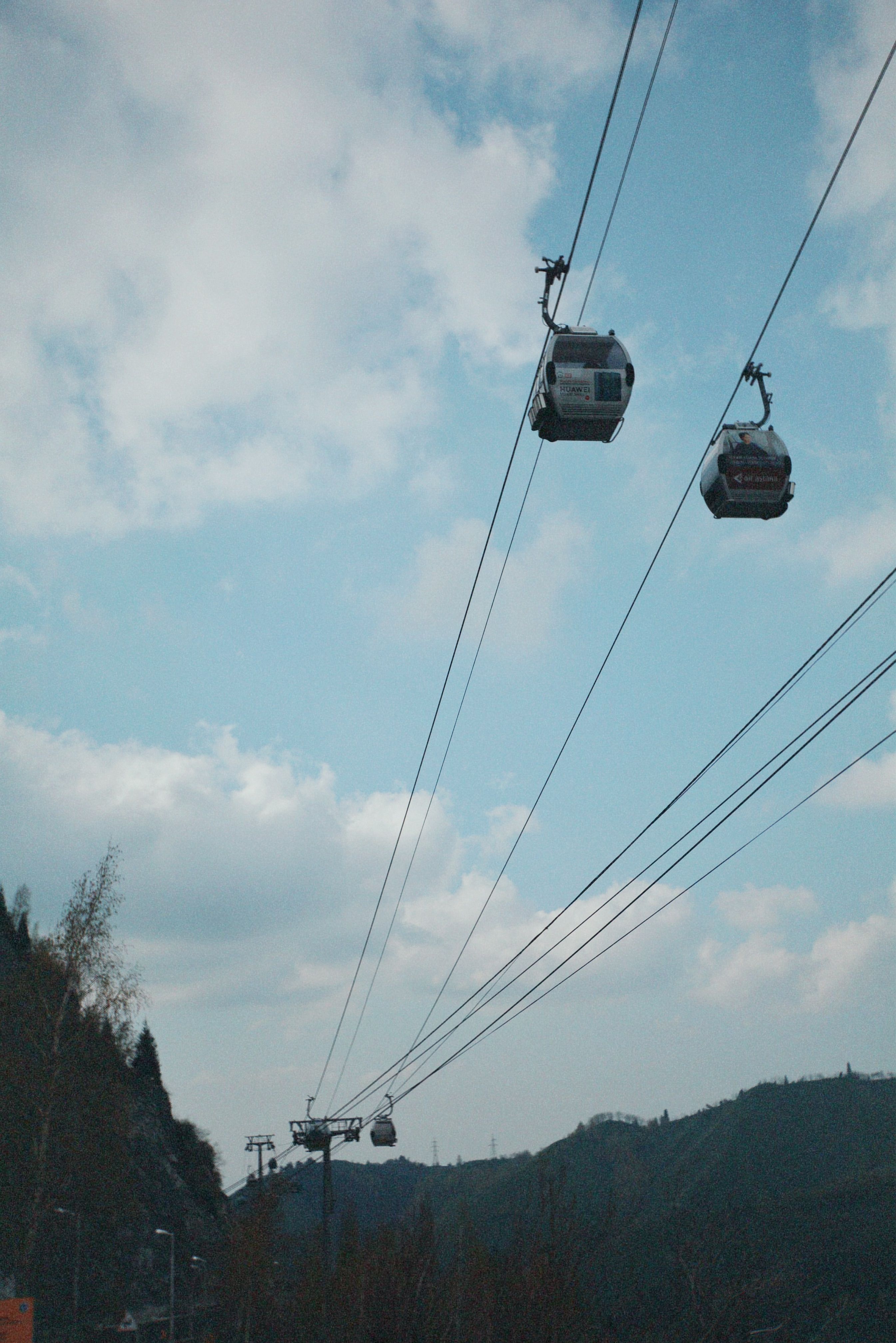 Cable Cars over Forest · Free Stock Photo