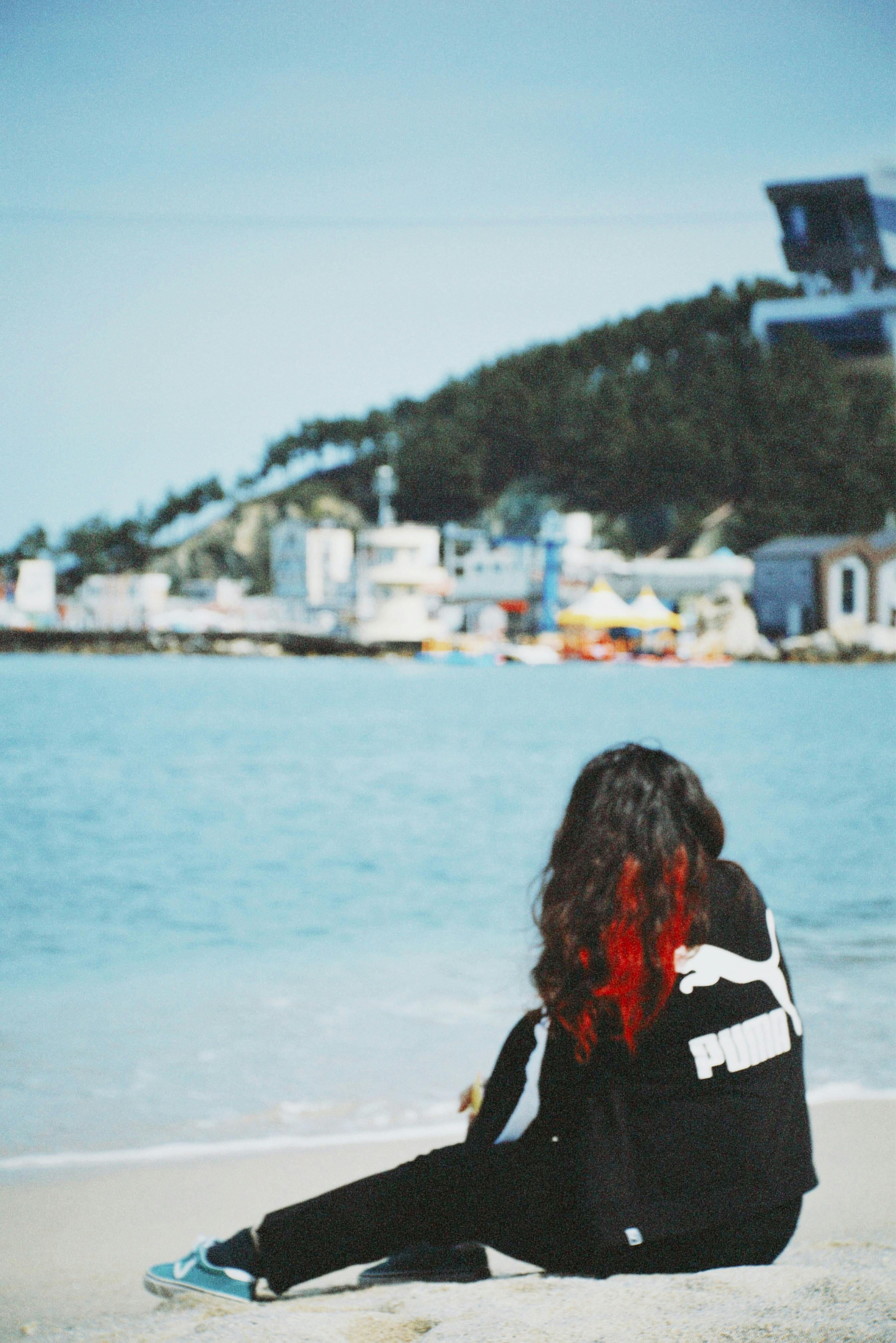 Sea Puma Photos, Download The BEST Free Sea Puma Stock Photos & HD Images