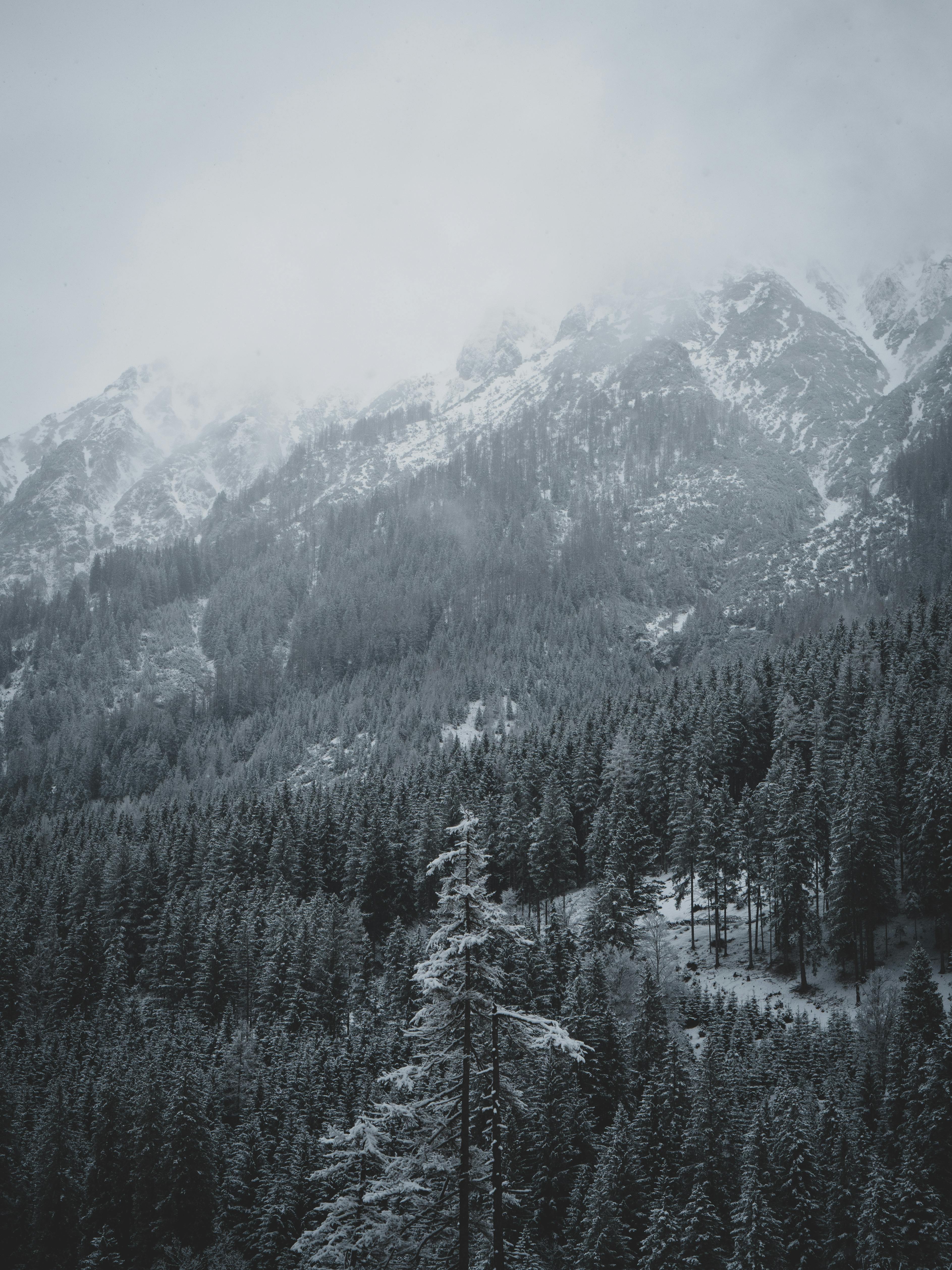 Ethiopian Ras Dashen Mountain Landscape Photos, Download The BEST Free ...