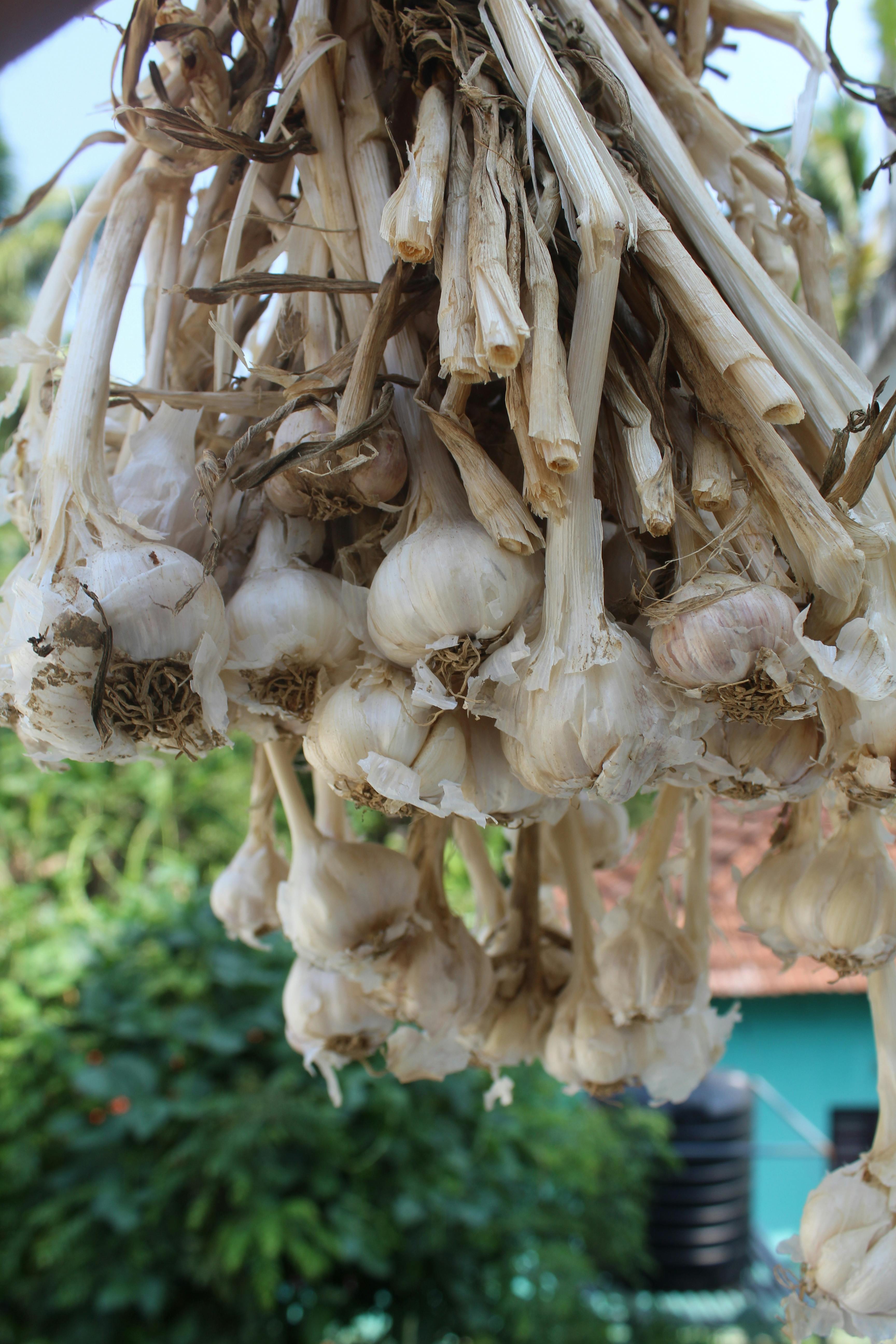 David Vinson - 写真