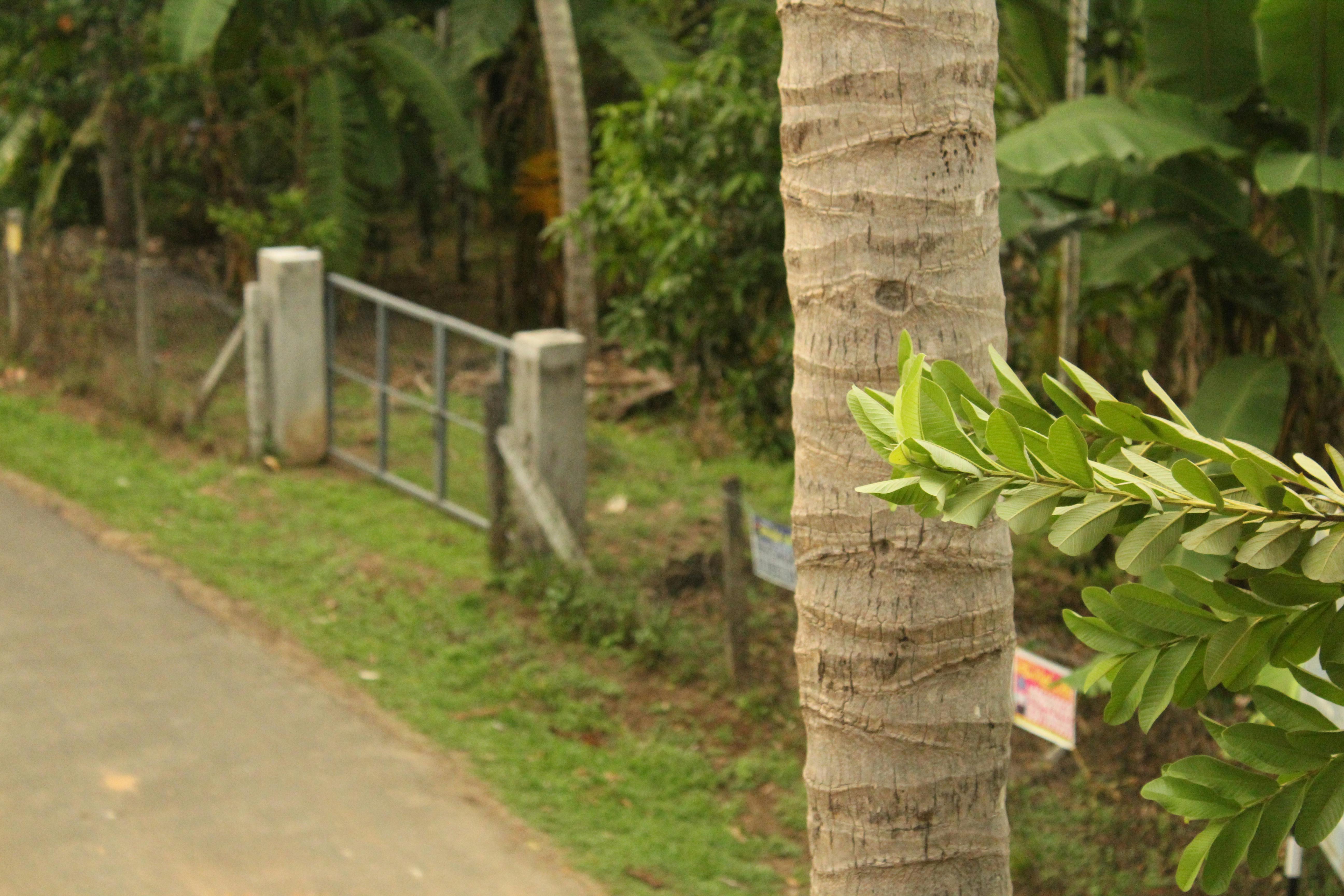 David Vinson - 写真