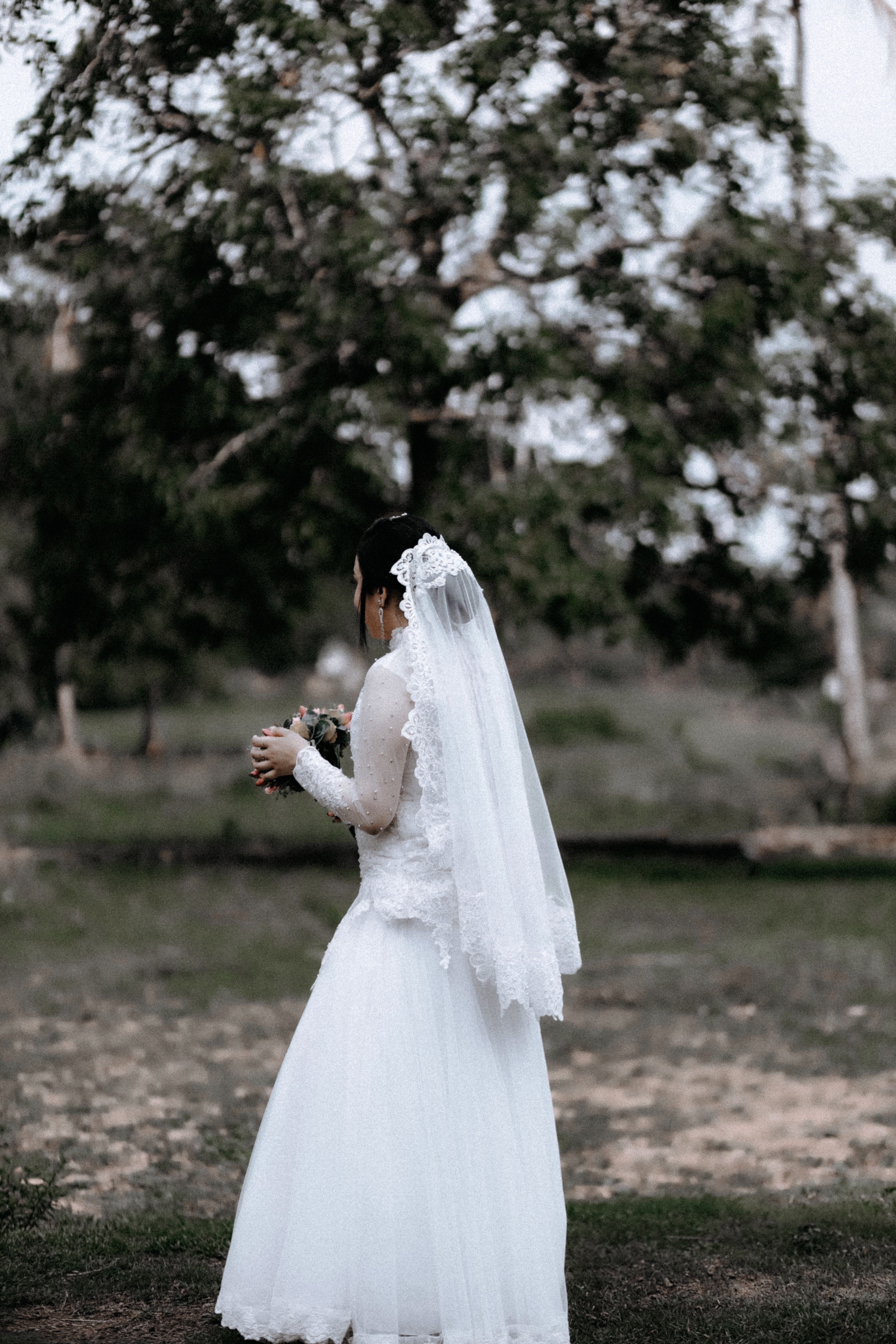 Back View of Bride near Tree · Free Stock Photo