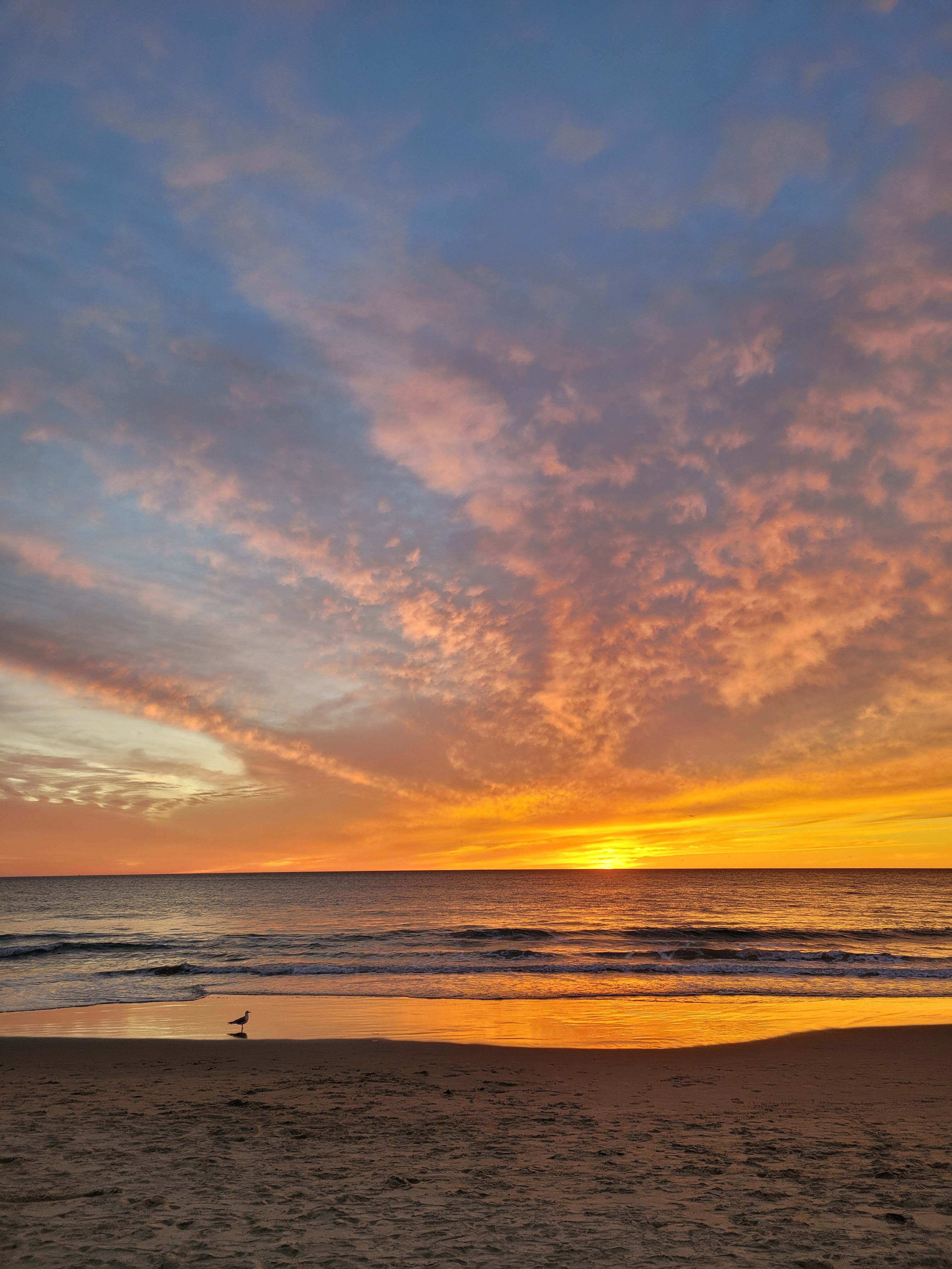 Overcast over Beach at Sunset · Free Stock Photo