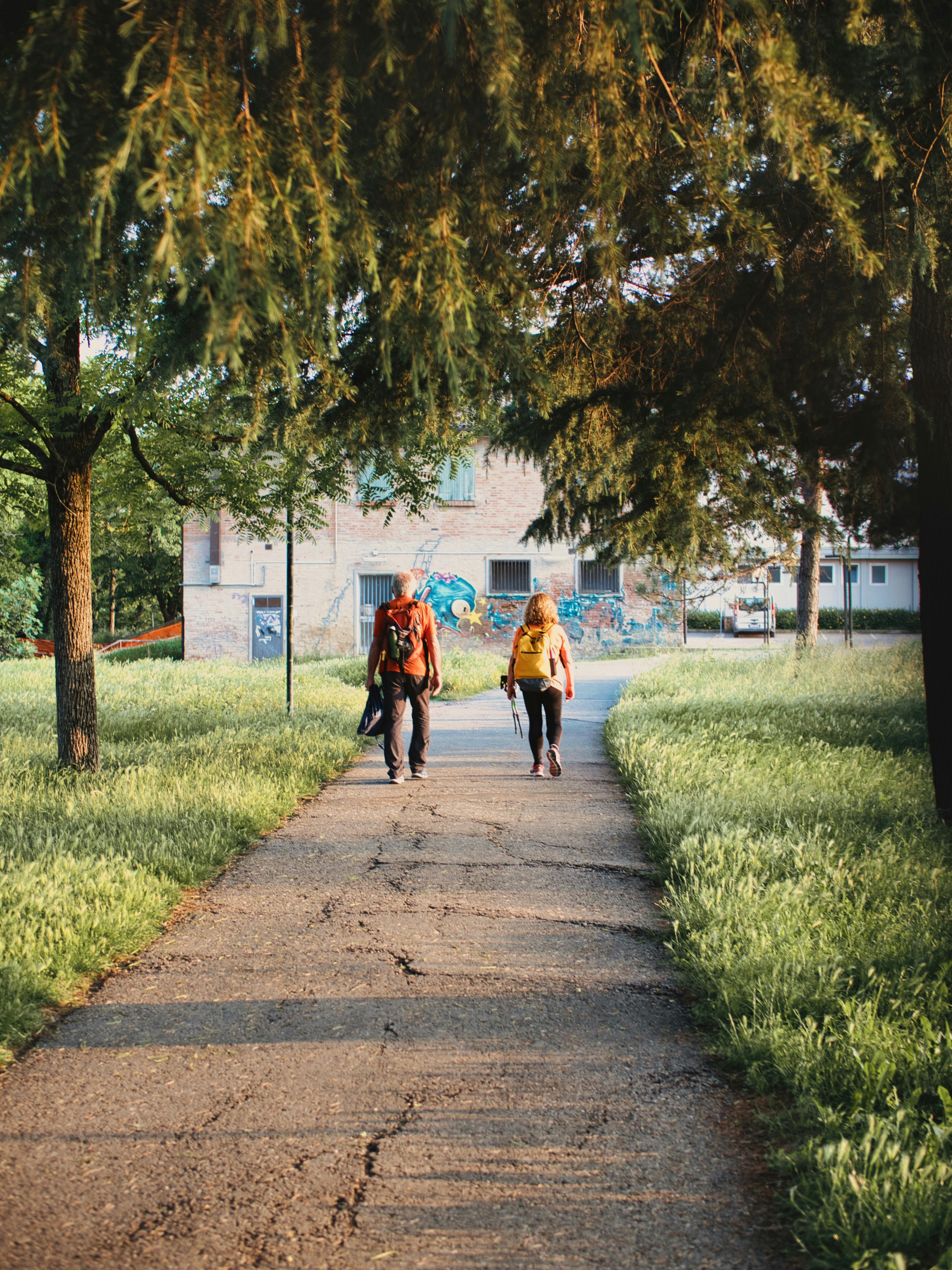 People walking through nature · Free Stock Photo