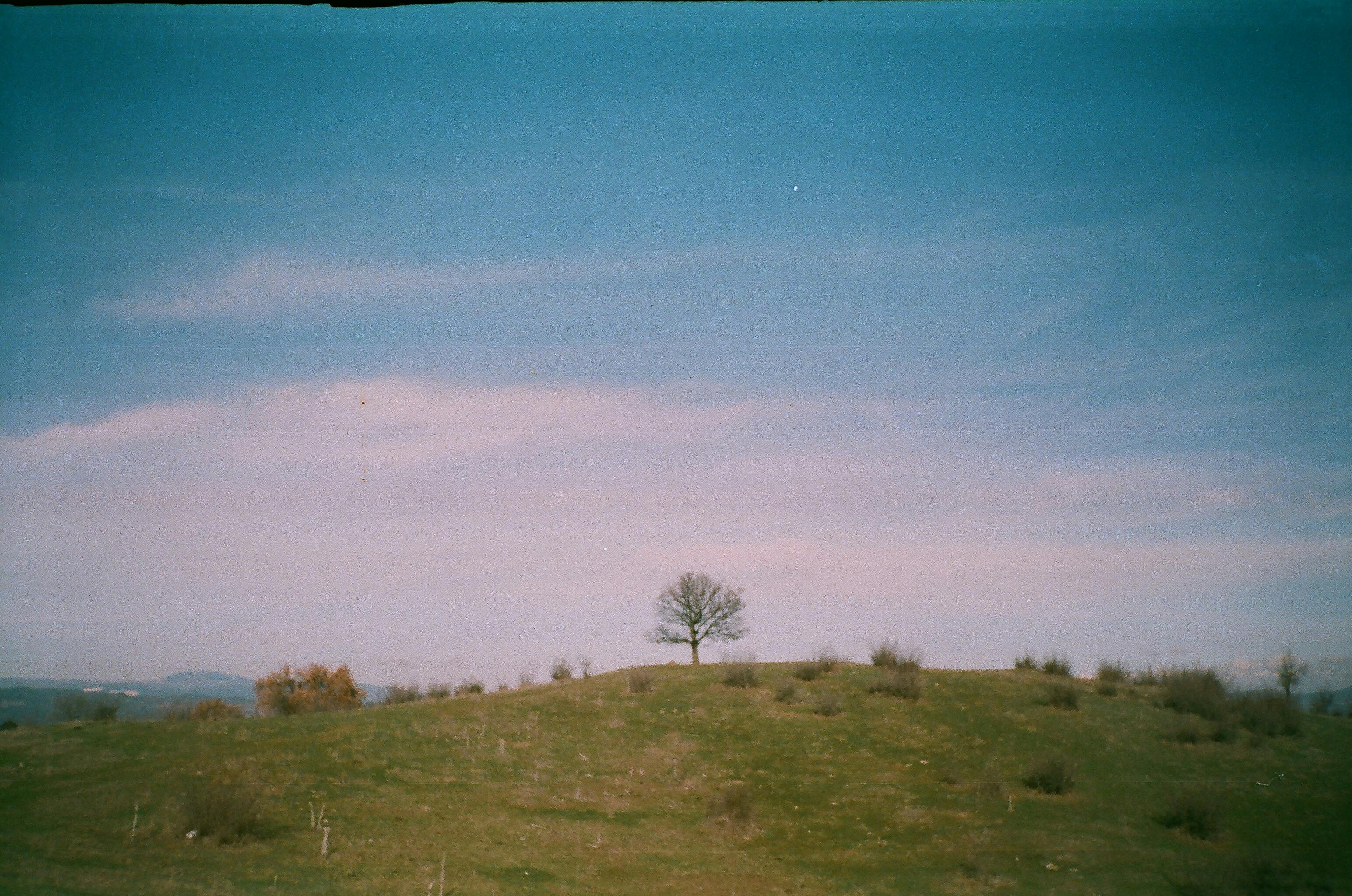 Landscape with a Single Tree on the Horizon · Free Stock Photo