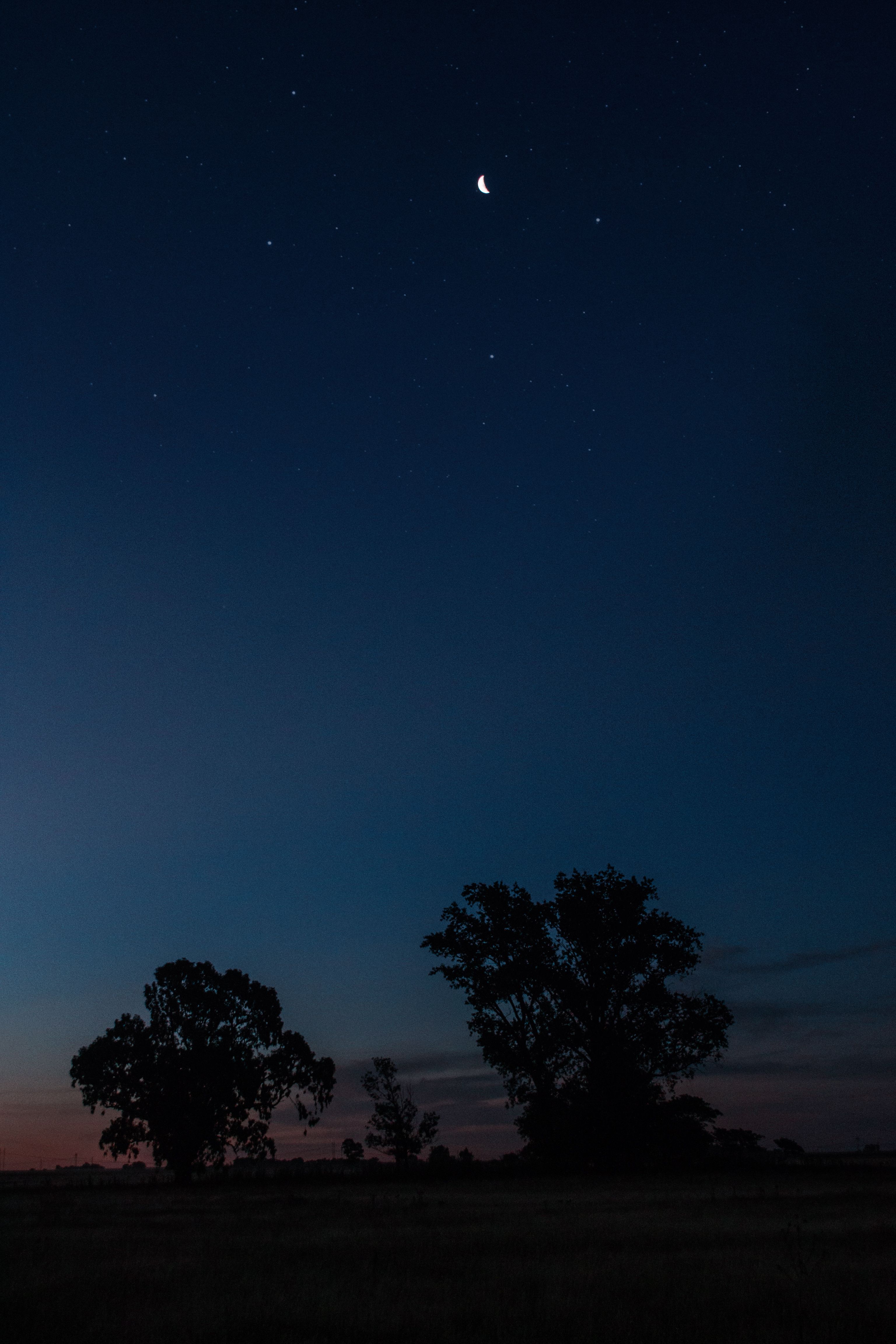 Clear, Night Sky over Trees in Countryside · Free Stock Photo