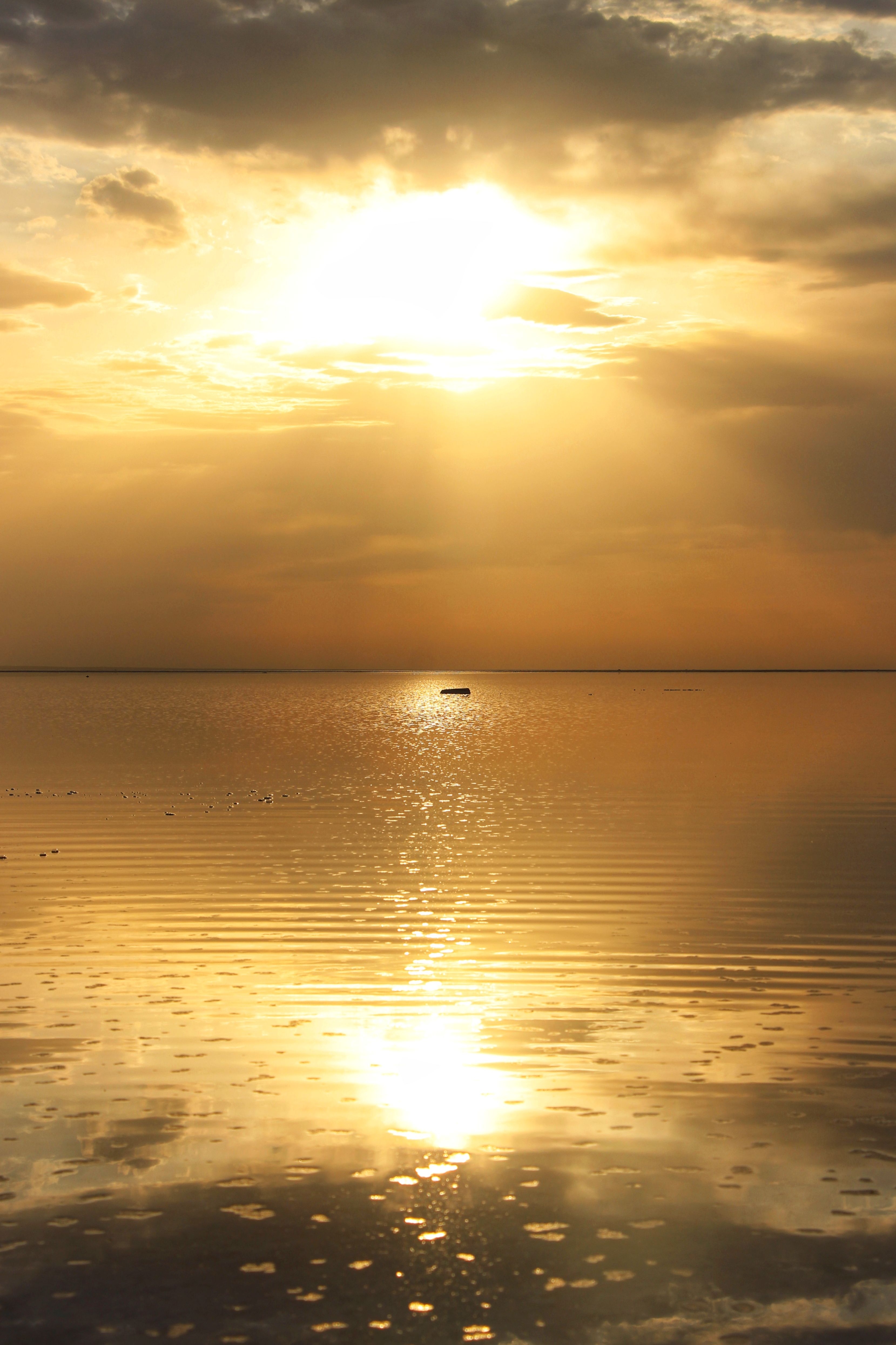 Bright Sunlight Photos, Download The BEST Free Bright Sunlight Stock ...