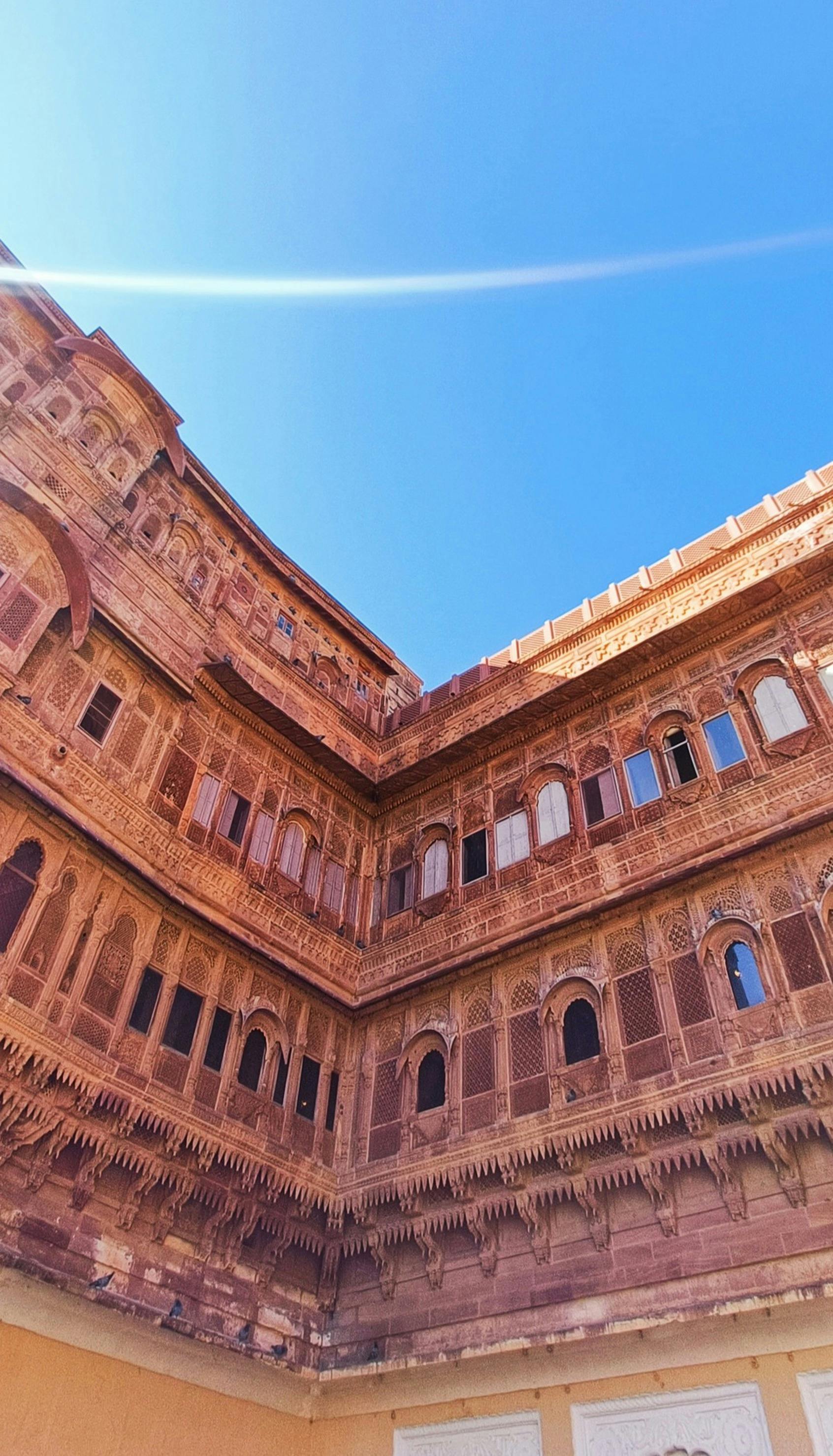 Rachel Fernandes - Photography