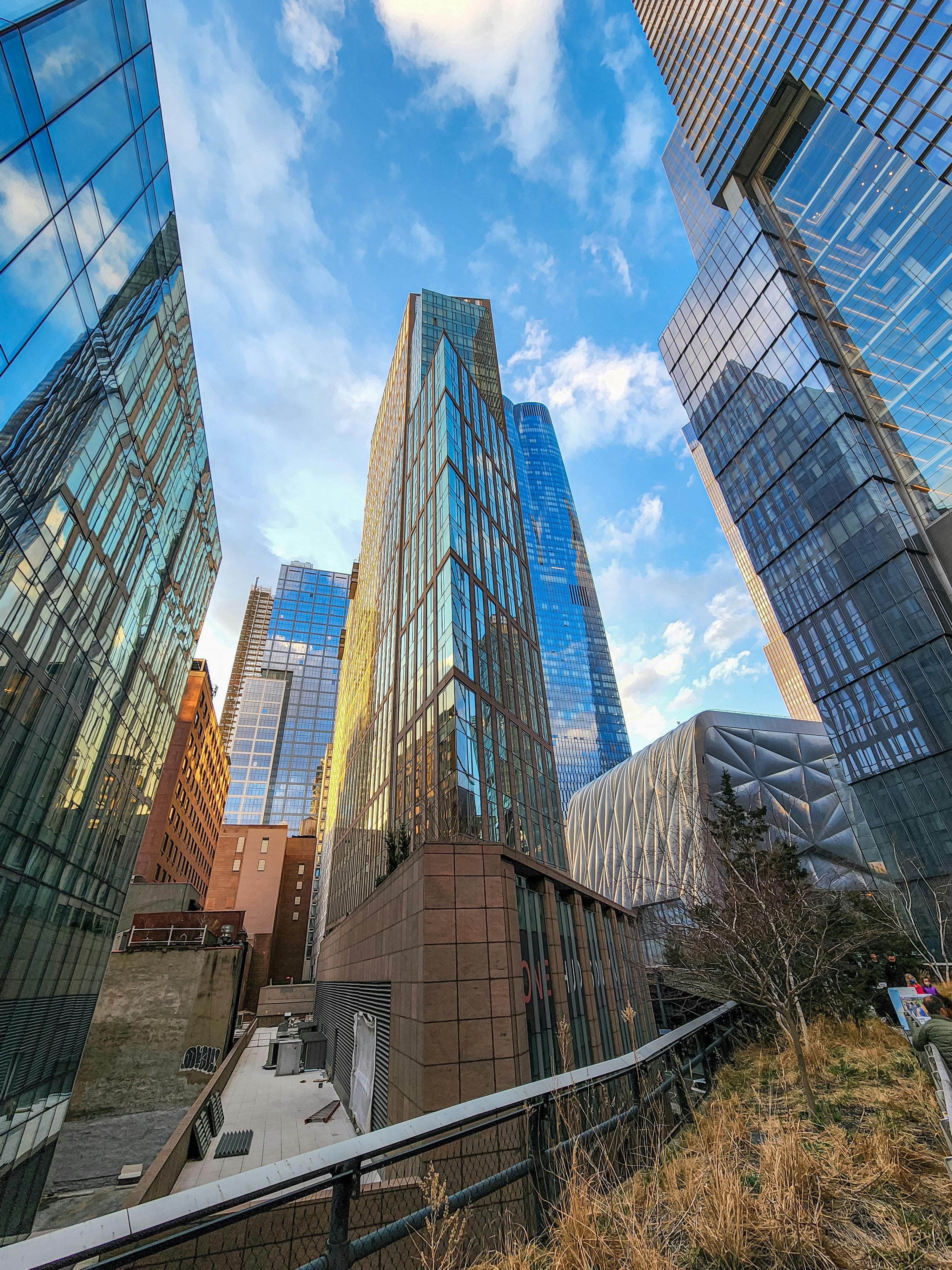 Tall Photos, Download The BEST Free Tall Stock Photos & HD Images