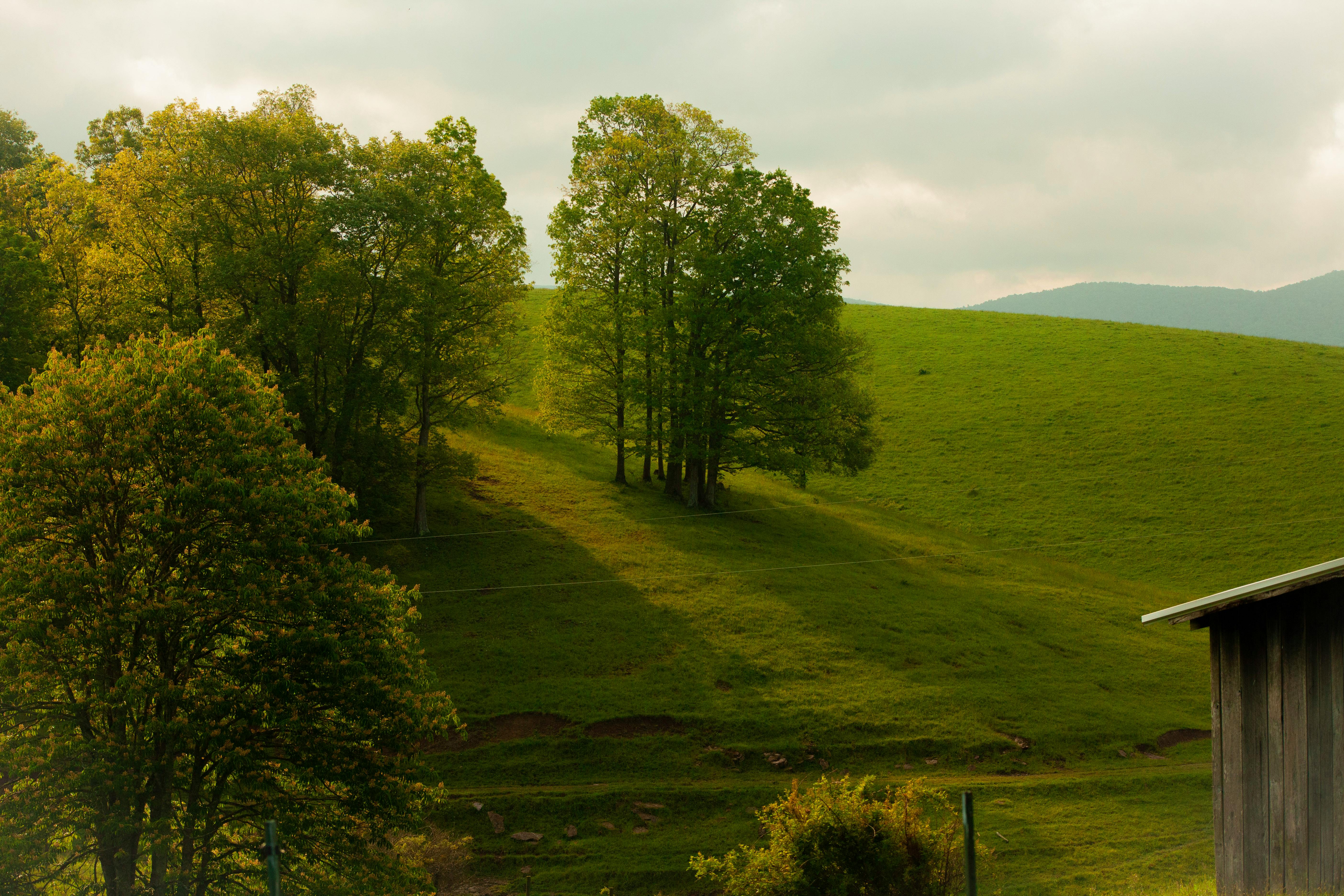 View of a Hill · Free Stock Photo