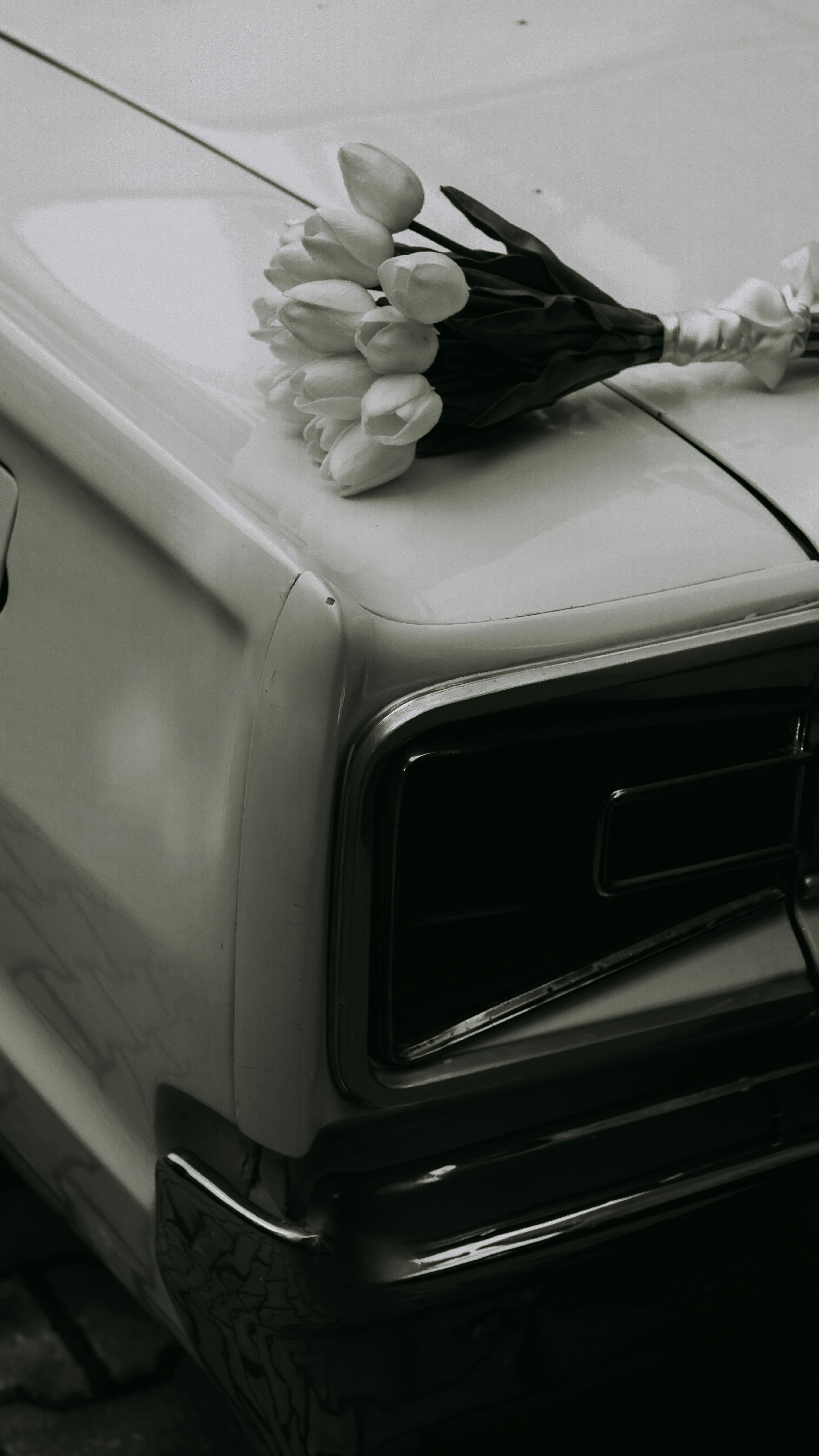 Retro Loop Photos, Download The BEST Free Retro Loop Stock Photos & HD ...