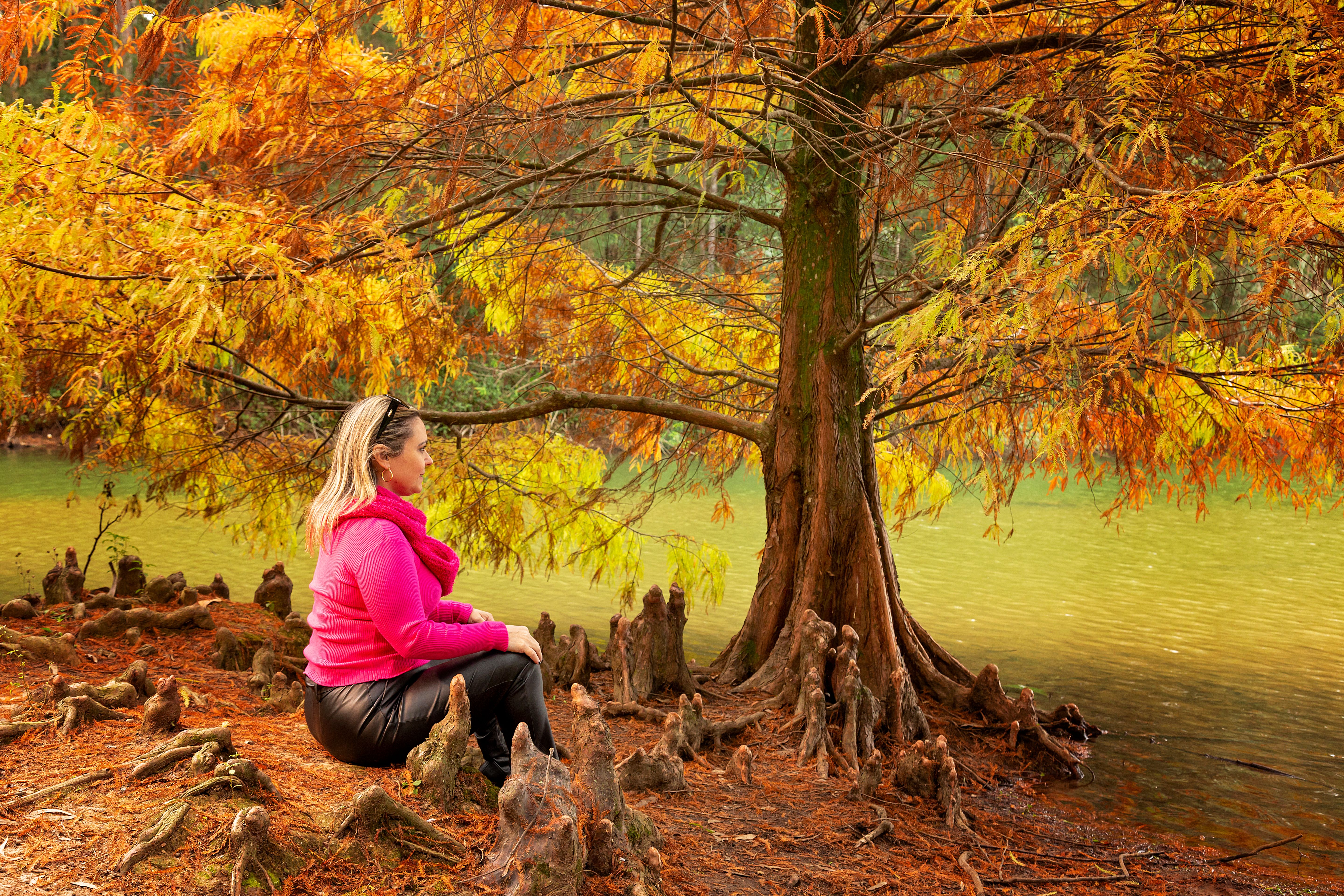 Woman Sitting under Autumn Tree by Lake · Free Stock Photo