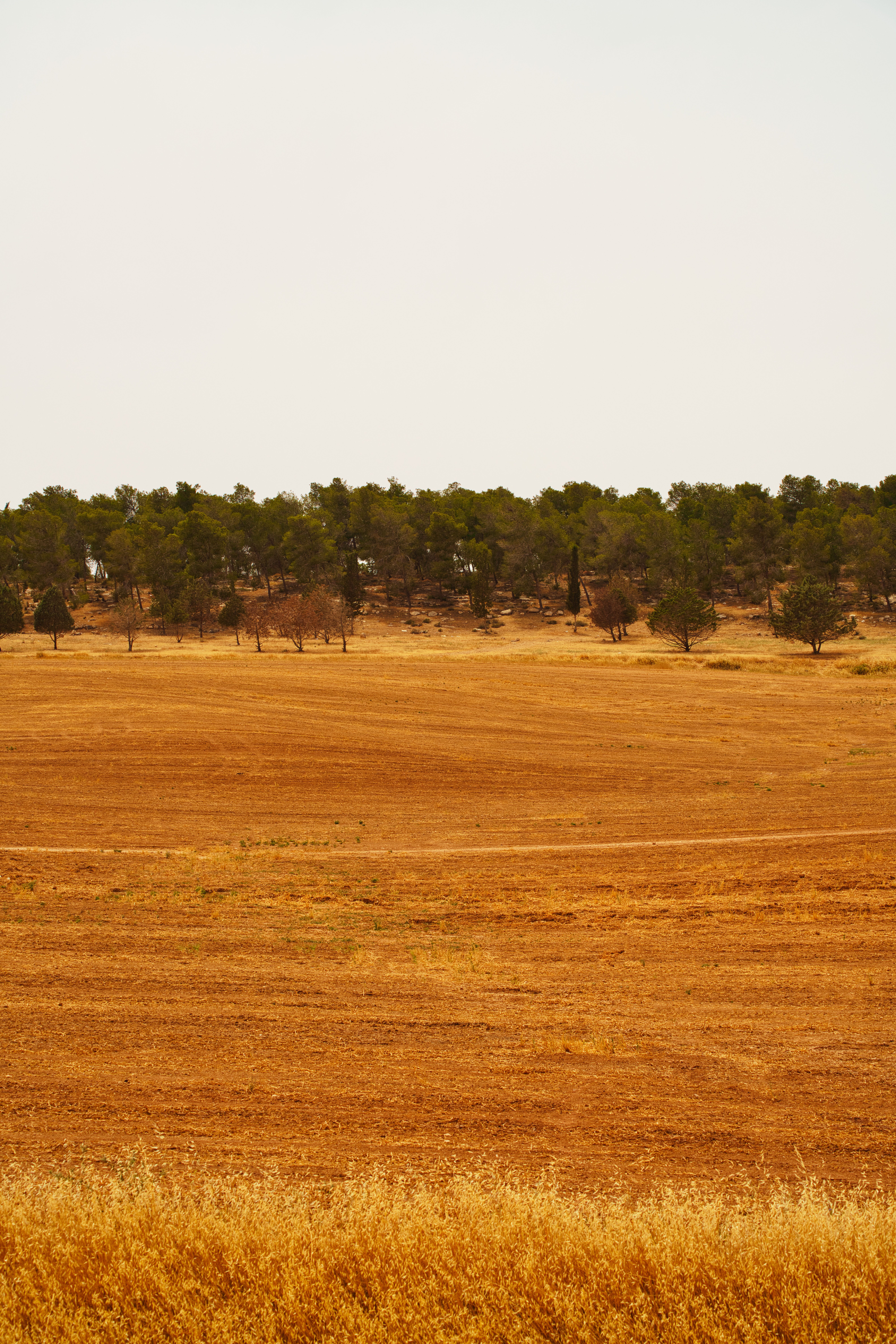 Noon Convida Photos, Download The BEST Free Noon Convida Stock Photos ...