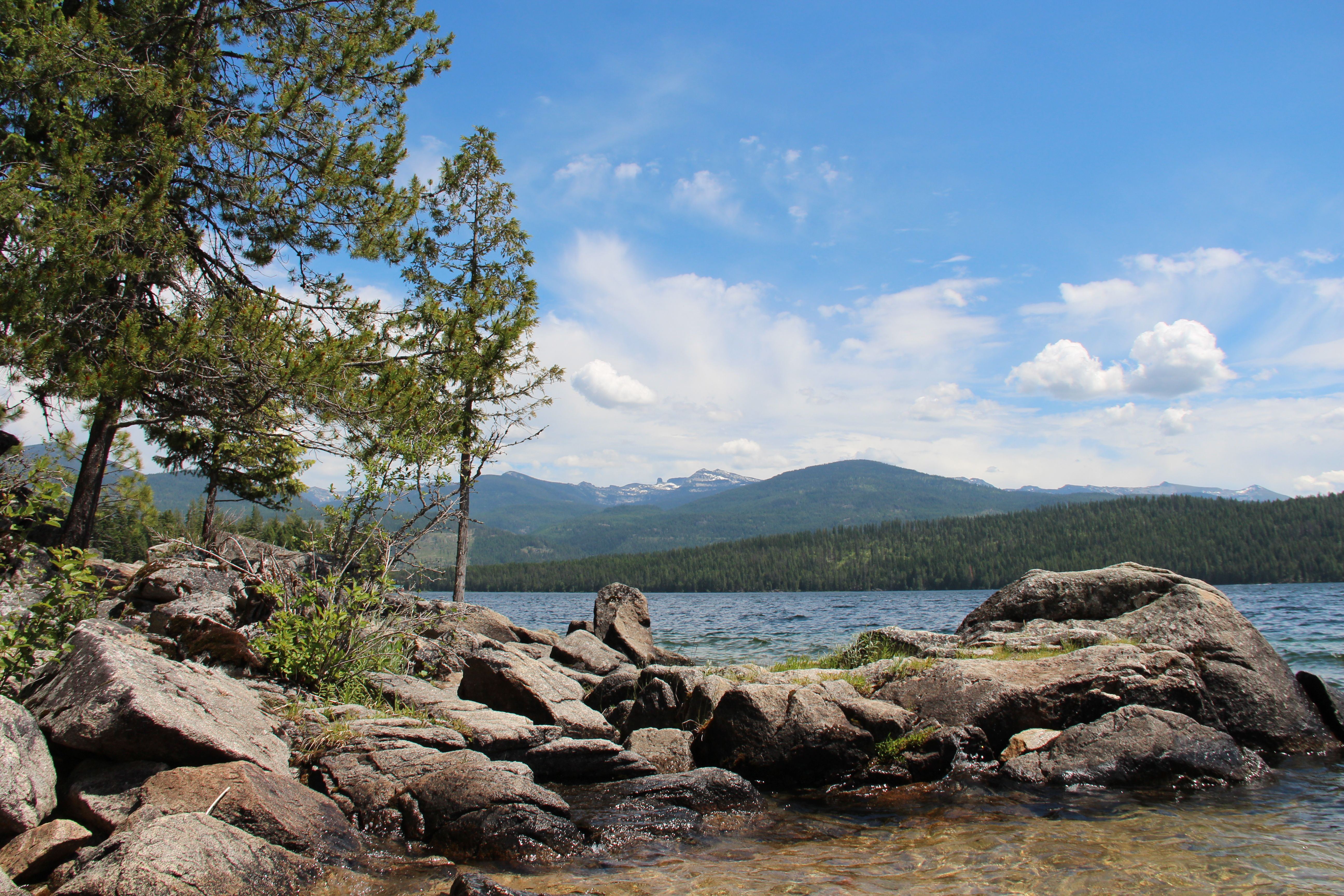 Scenic View of a Lake Shore · Free Stock Photo
