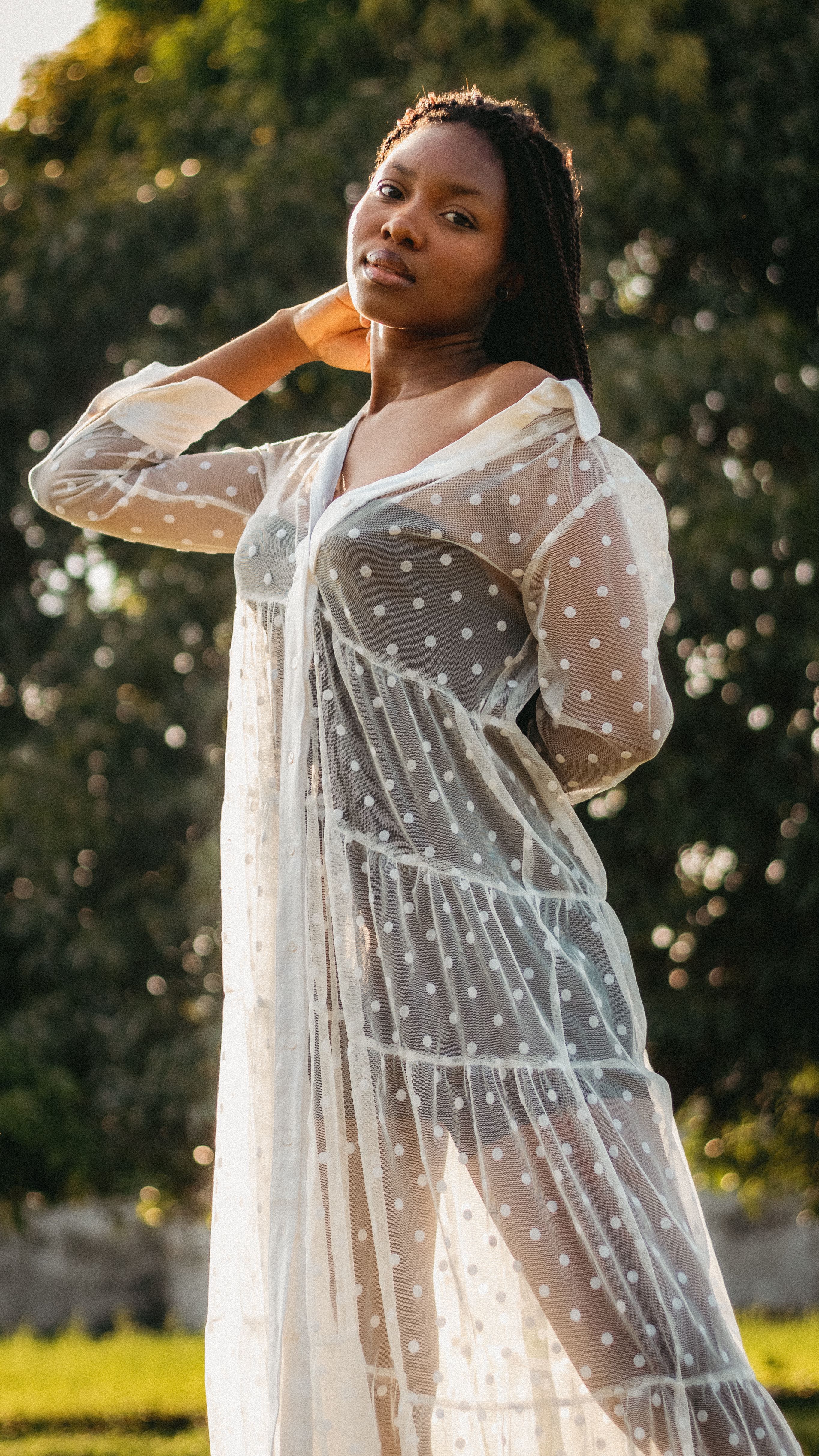Woman Wearing a Transparent Dress · Free Stock Photo