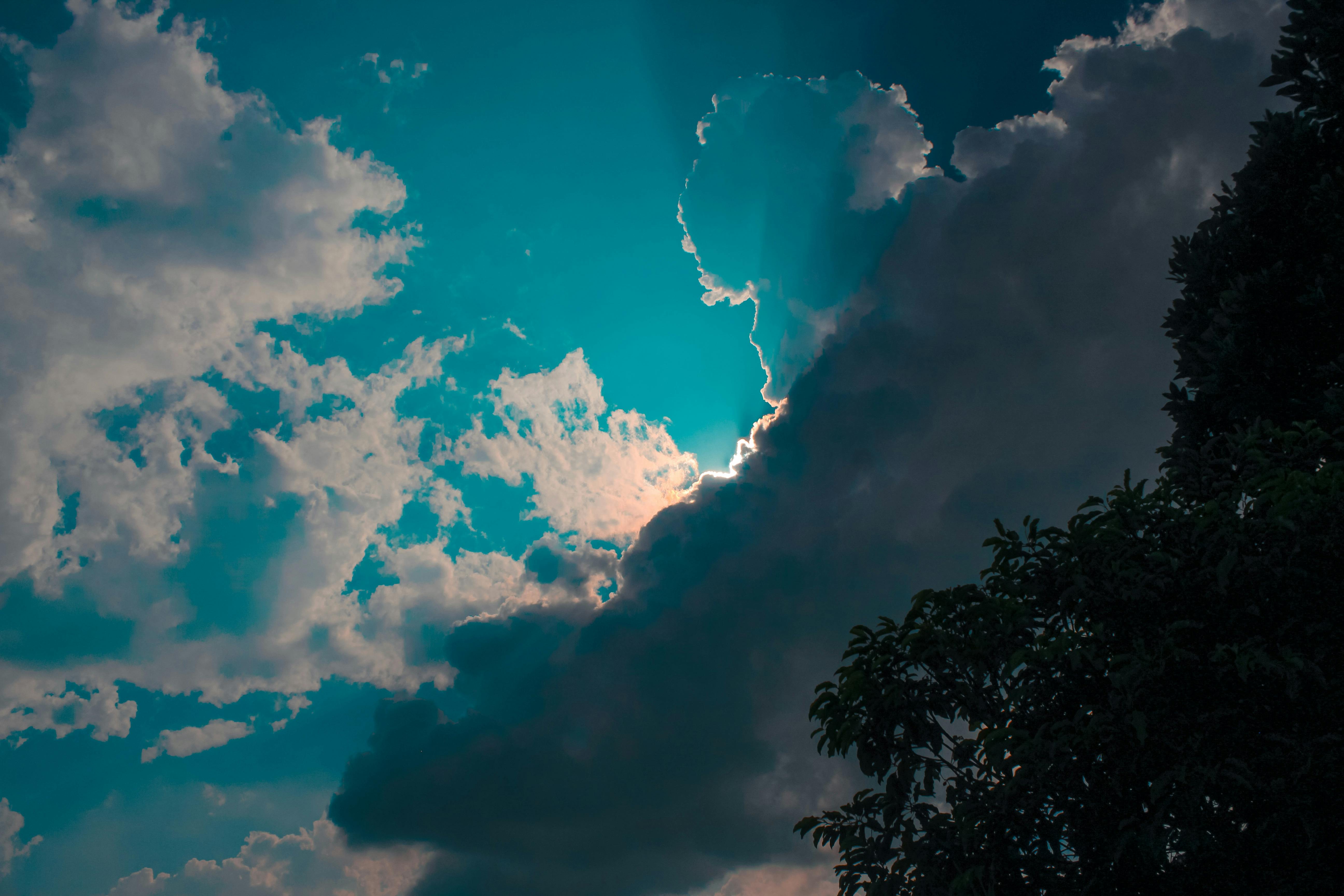 Photo Pik - Fotografía