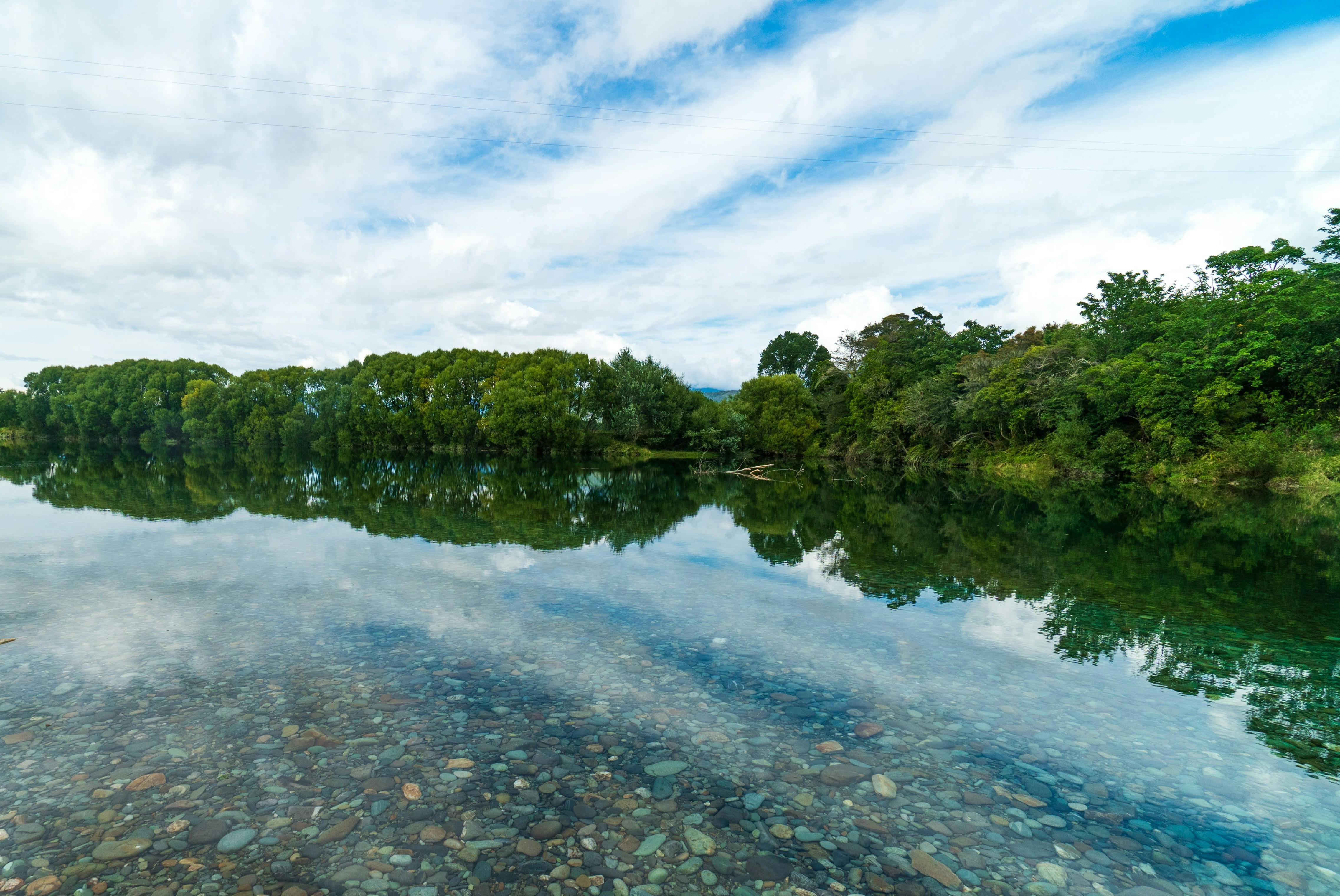 Pebble Seen though Clear Water of a Placid Lake · Free Stock Photo