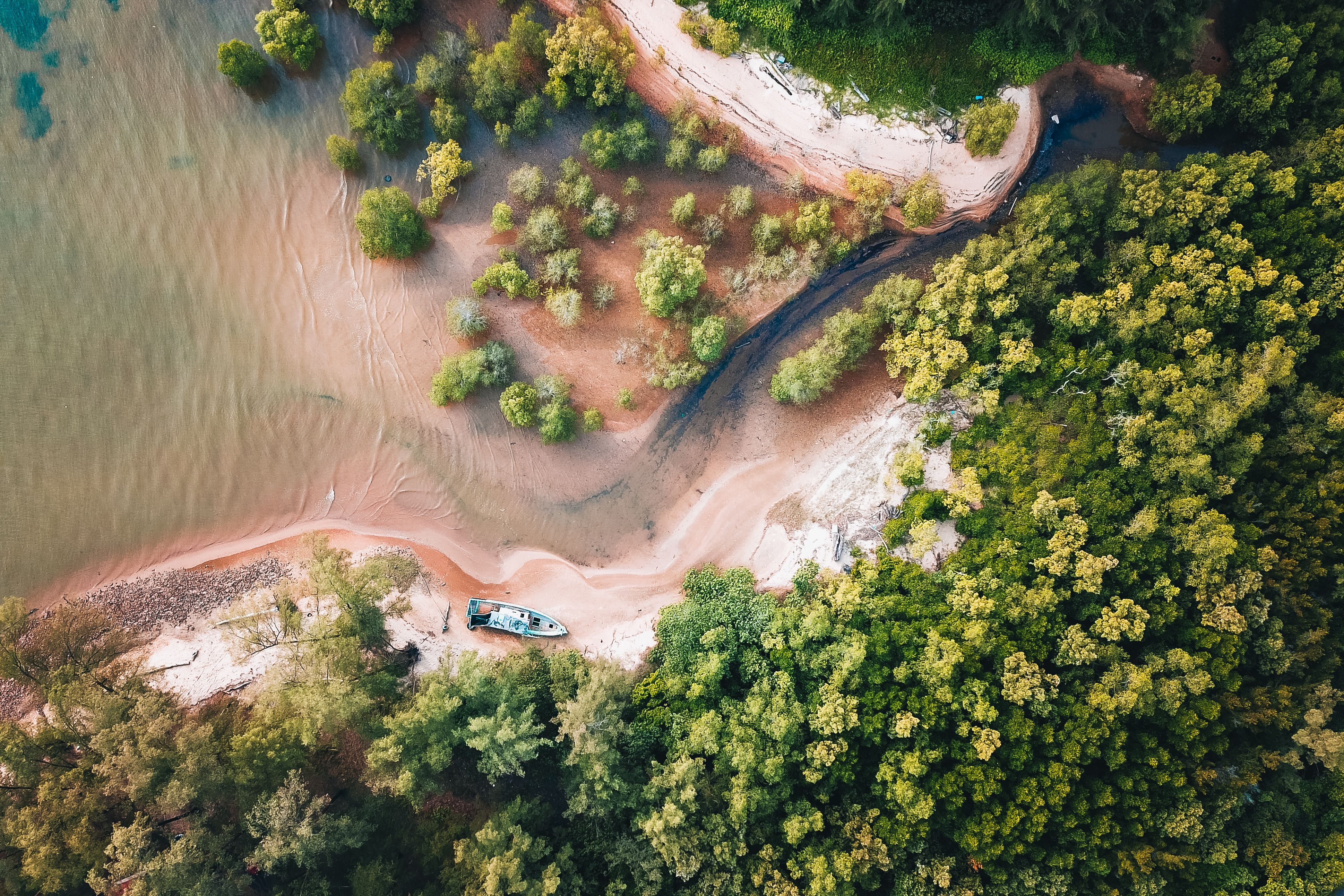 Birds Eye View of Sea Shore with Forest · Free Stock Photo