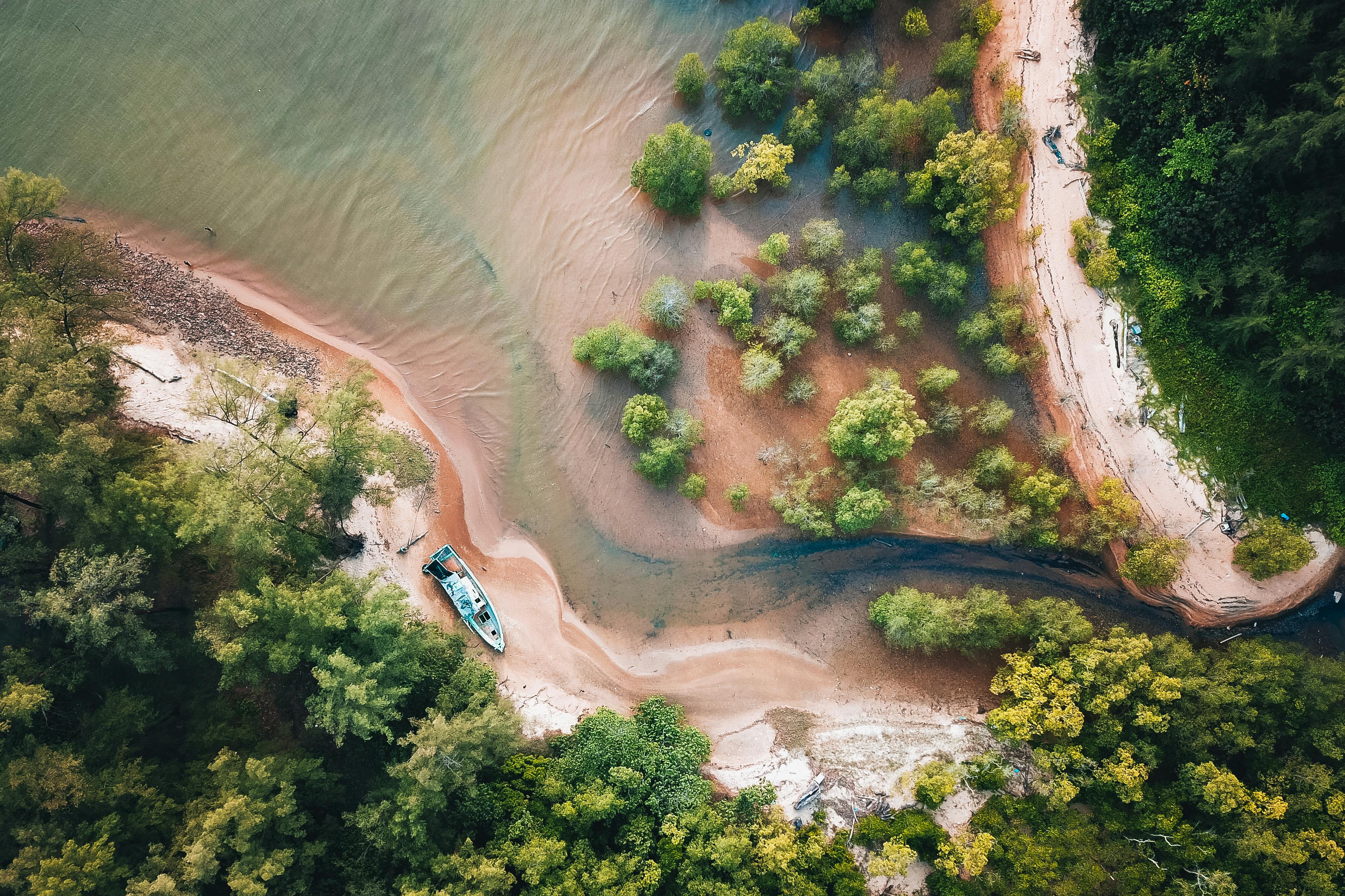 Aerial View of Muddy River Through Rainforest · Free Stock Photo