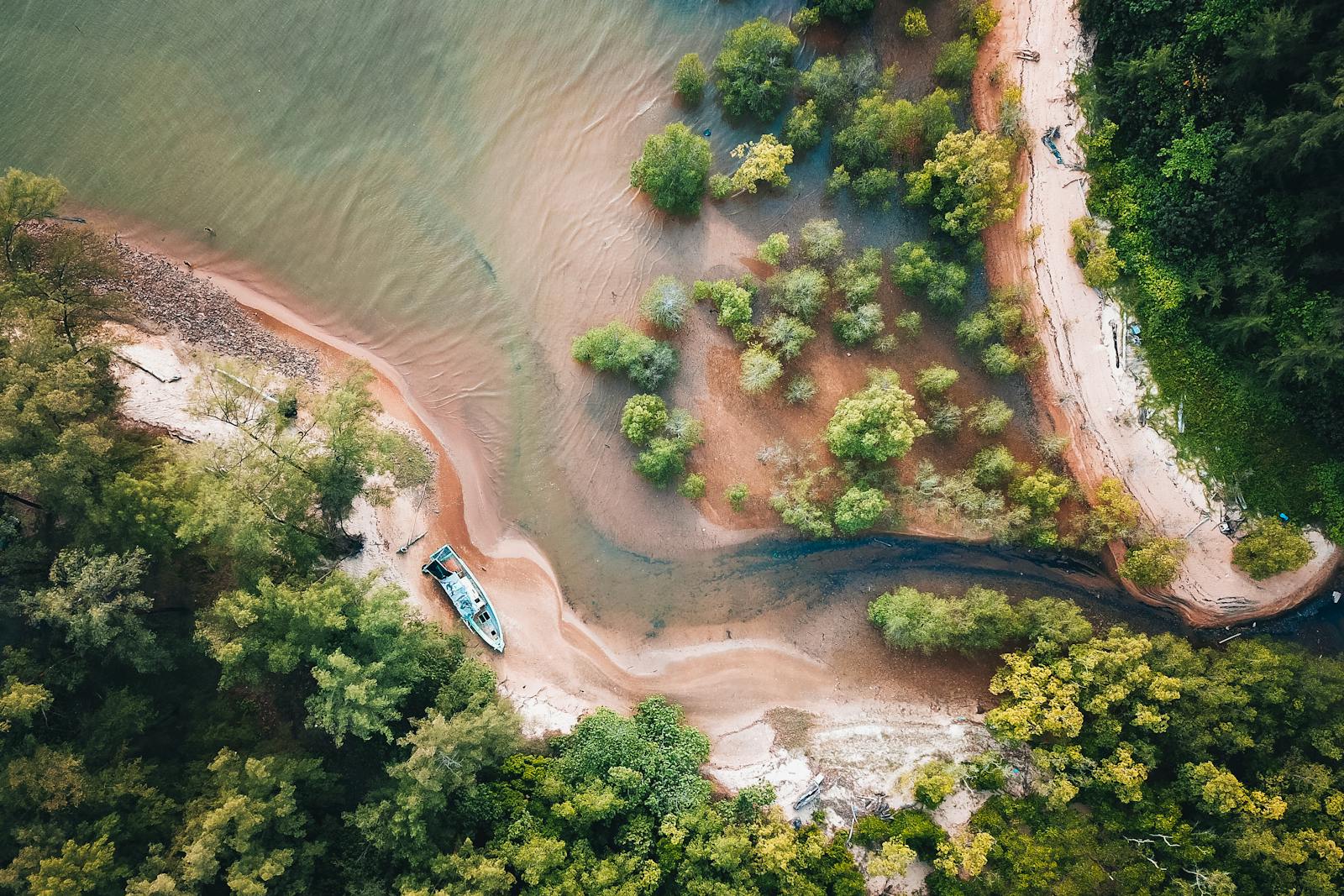 Top View Jungle Photos, Download The BEST Free Top View Jungle Stock ...