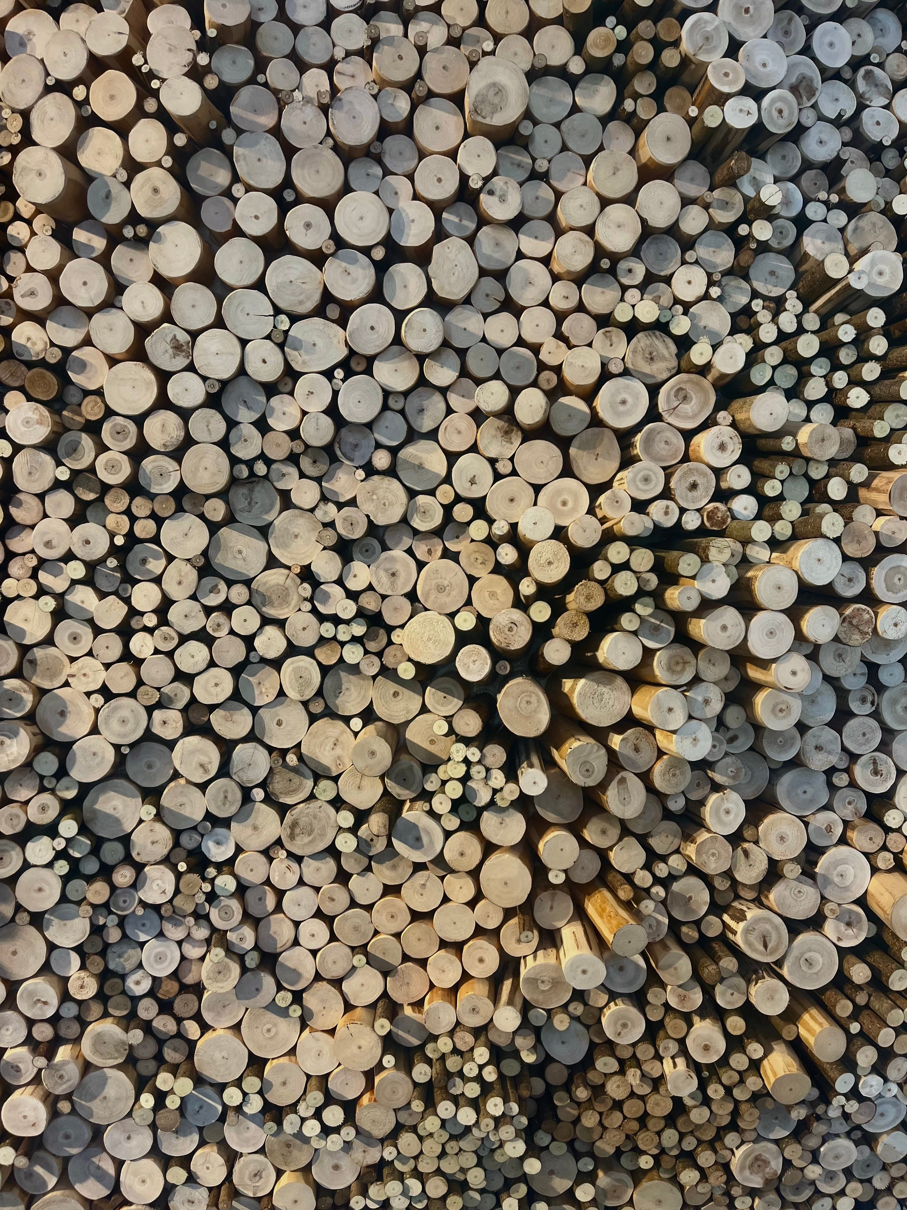 Close up of Wood Logs · Free Stock Photo